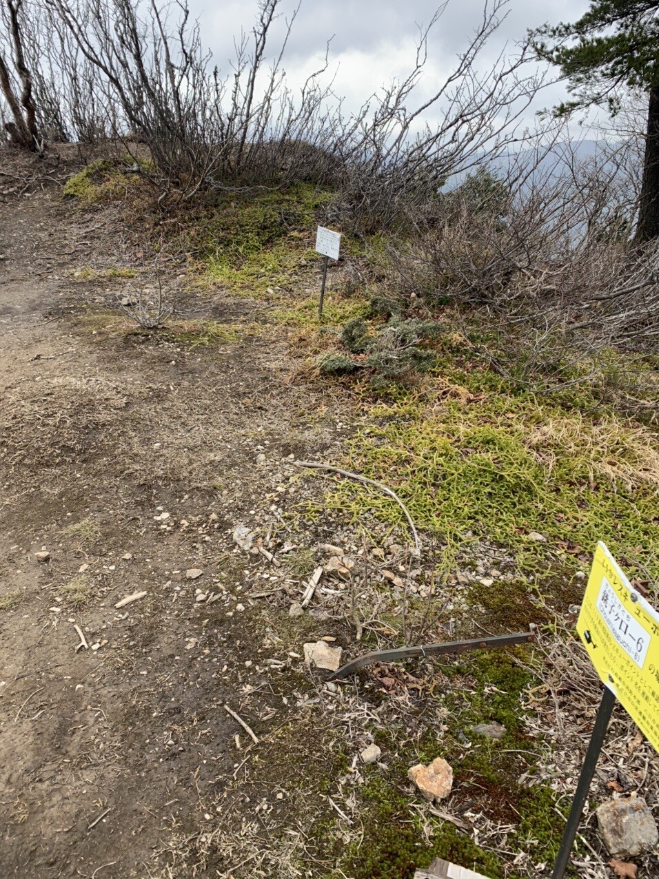 アマビエ👻さんの投稿したフィールドメモ | YAMAP / ヤマップ