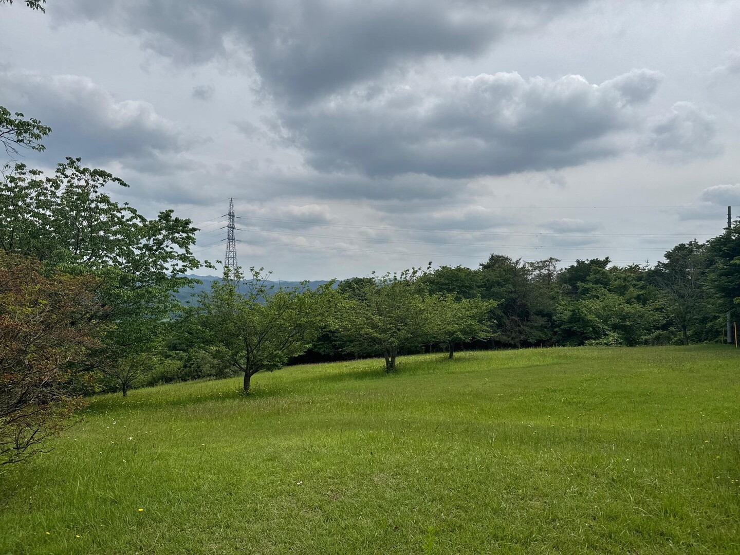 三王山 / kazumaroさんの三王山の活動データ | YAMAP / ヤマップ