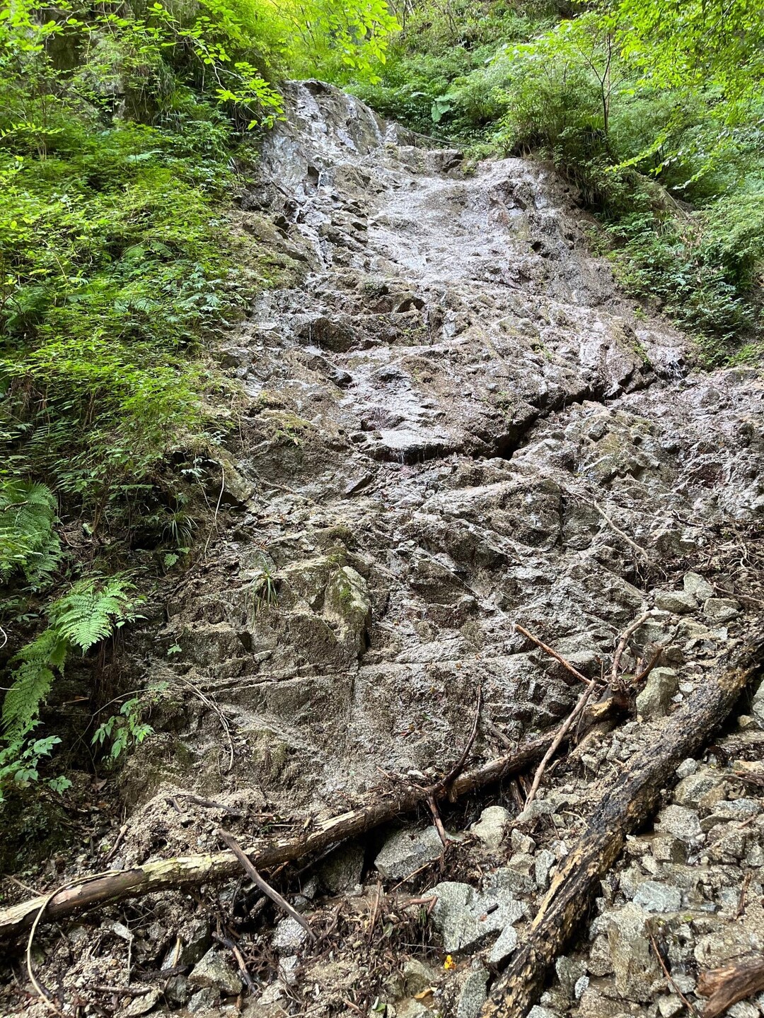 金剛山 丸滝谷ルート / milky55さんの金剛山・二上山・大和葛城山の活動データ | YAMAP / ヤマップ