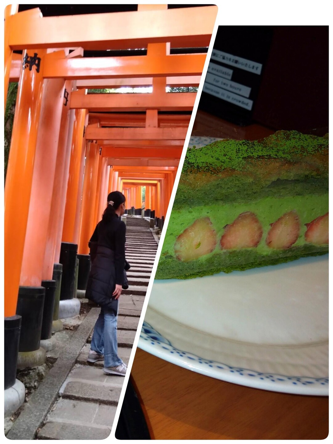 稲荷山 / hiroponさんの京都一周トレイルの活動データ | YAMAP / ヤマップ