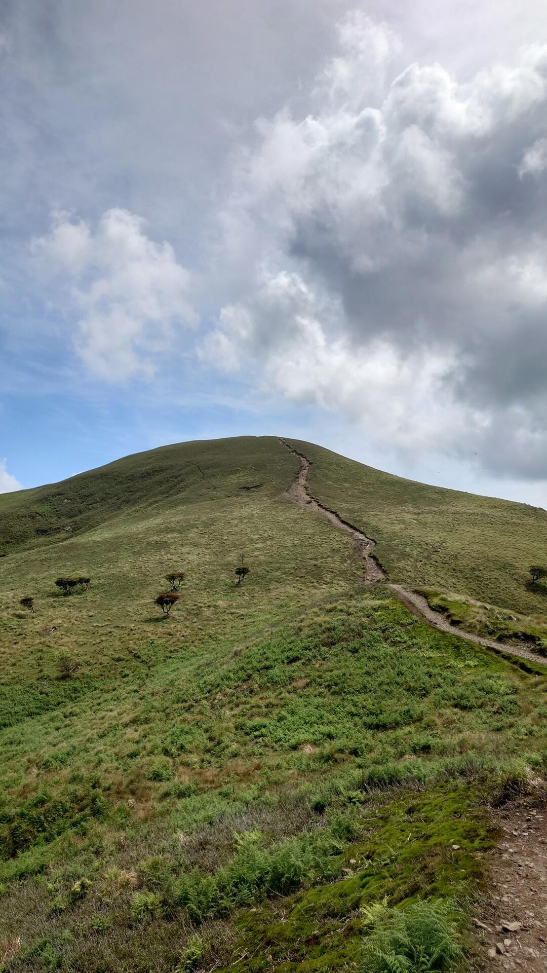 竜ヶ岳・静ヶ岳 / yasuさんの竜ヶ岳の活動データ | YAMAP / ヤマップ