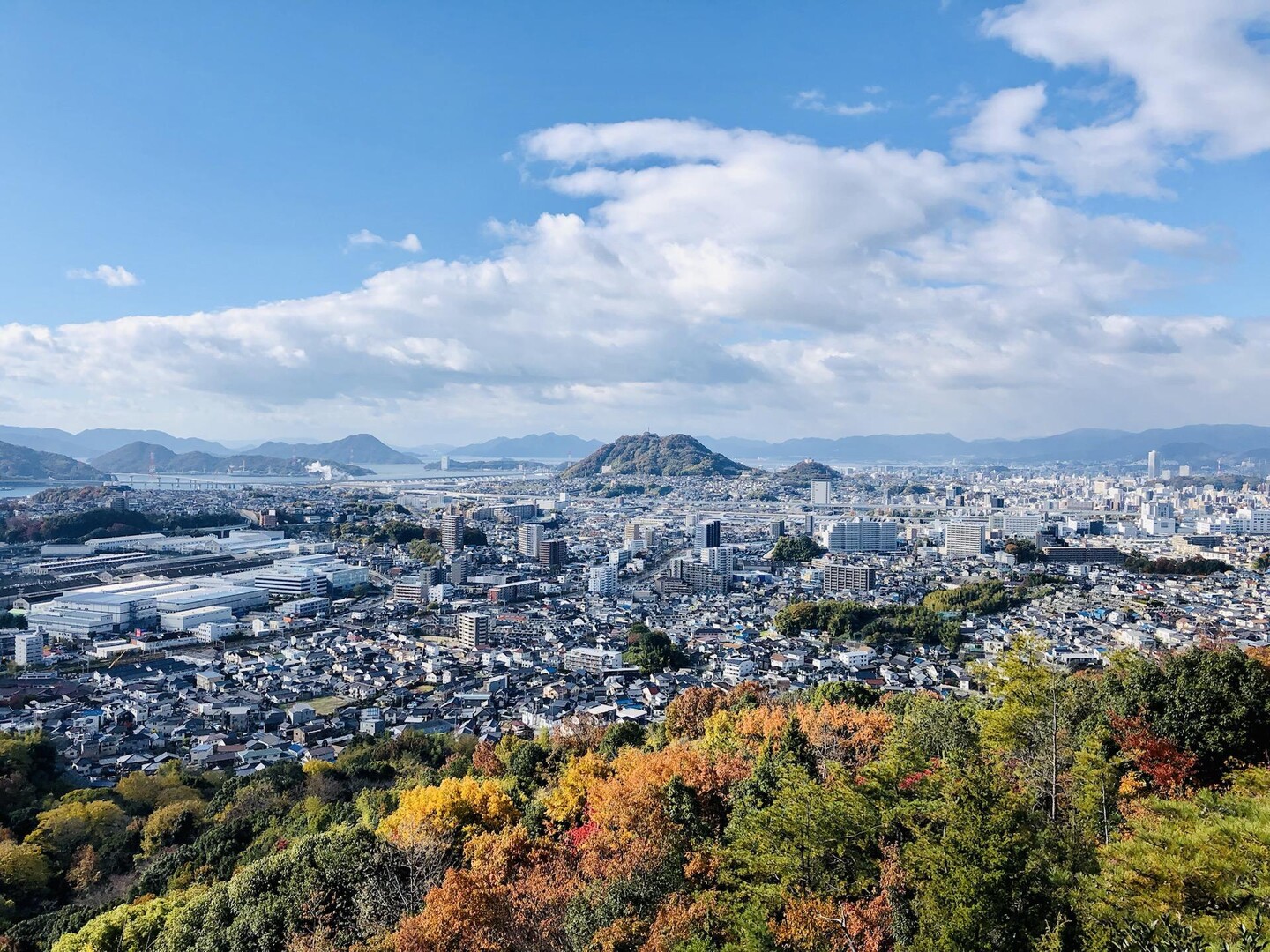 岩滝山・（〇展望岩）・蛇幕山 / Coo・kie（くぅ🗝️）さんの呉娑々宇山・高尾山（広島県）・日浦山の活動データ | YAMAP / ヤマップ