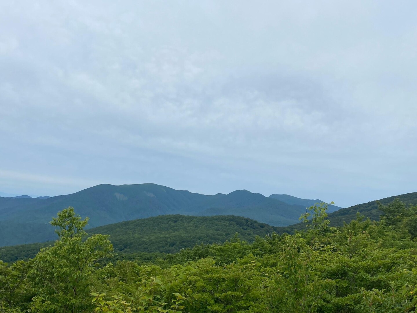 泉ヶ岳 / kung-fuさんの船形山（御所山）・泉ヶ岳・蛇ヶ岳の活動データ | YAMAP / ヤマップ