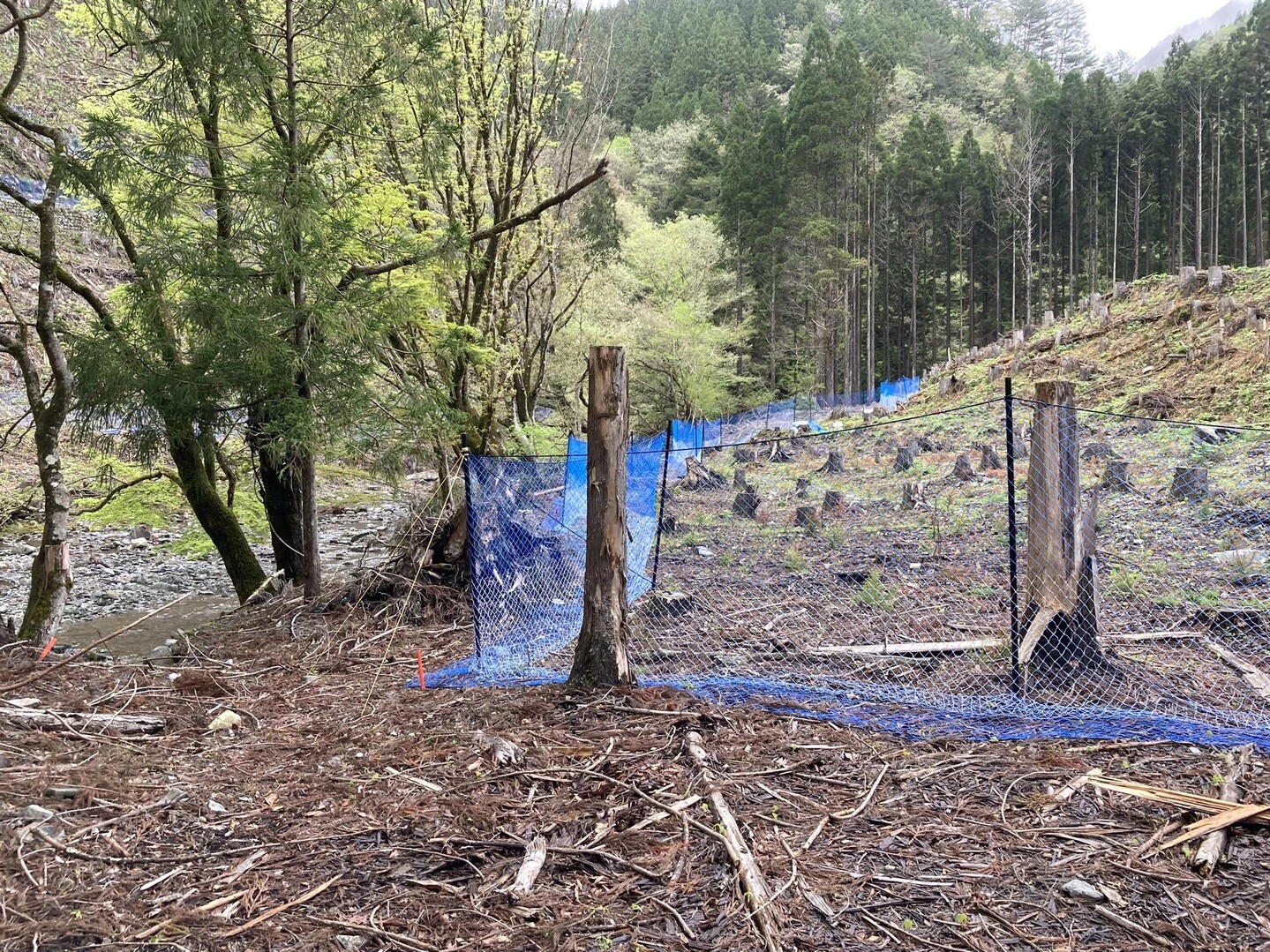 akimetalさんの投稿したフィールドメモ | YAMAP / ヤマップ