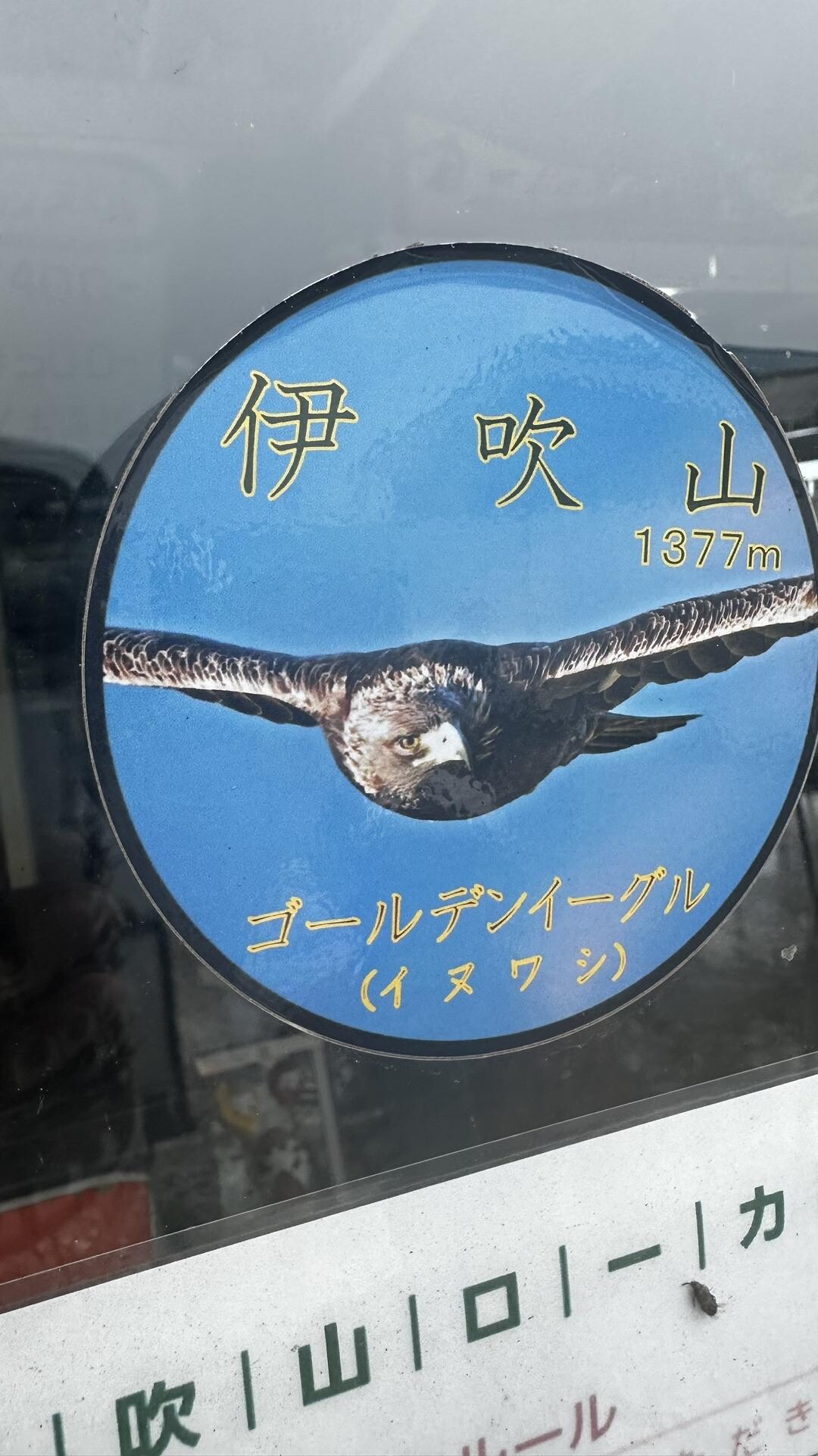 GW・伊吹山ドライブウェイから / yujiさんの伊吹山・伊吹高原・御座峰の活動データ | YAMAP / ヤマップ
