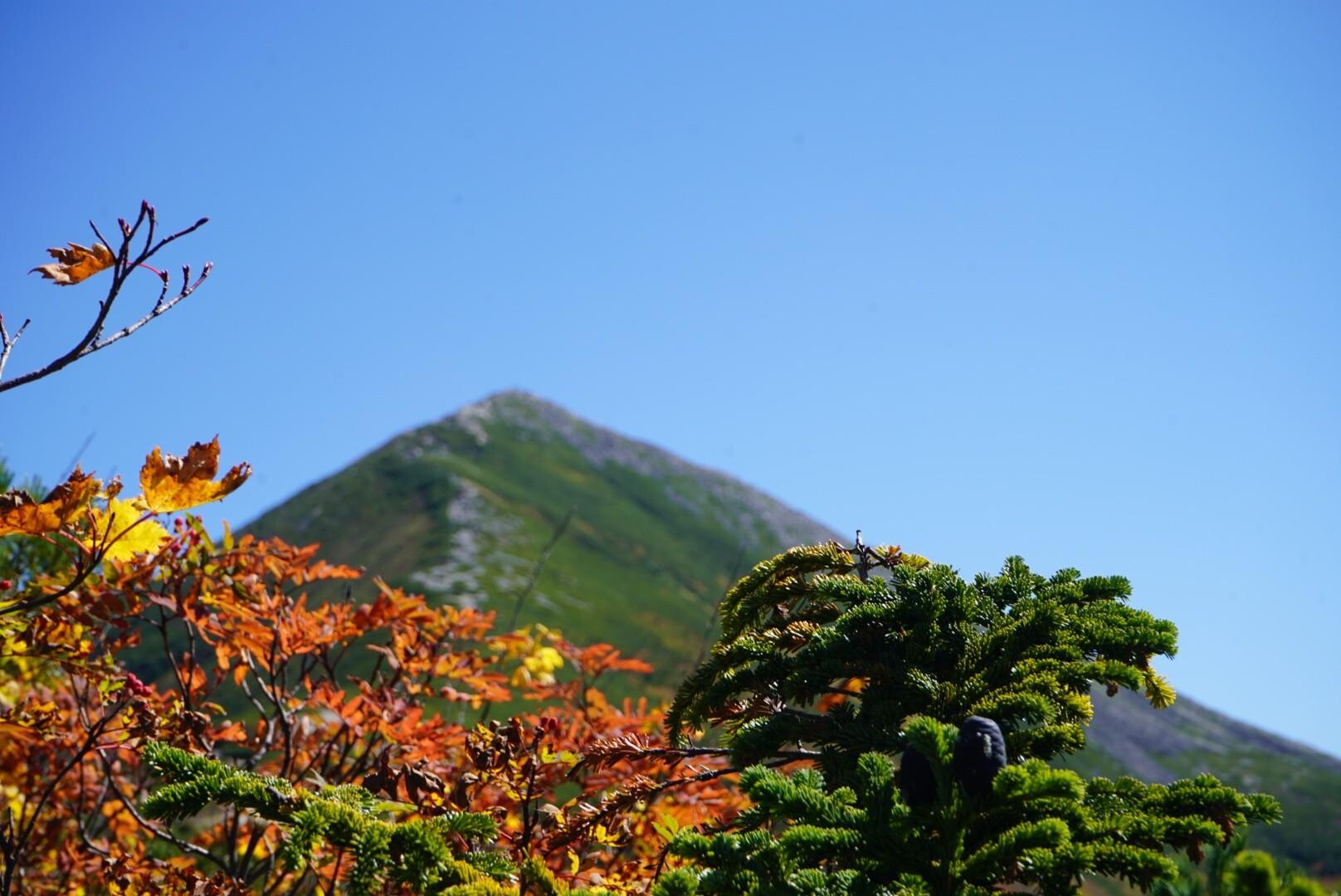 爺ヶ岳(南峰)・爺ヶ岳(中峰) / Komaさんの鹿島槍ヶ岳・五竜岳（五龍岳）・唐松岳の活動データ | YAMAP / ヤマップ