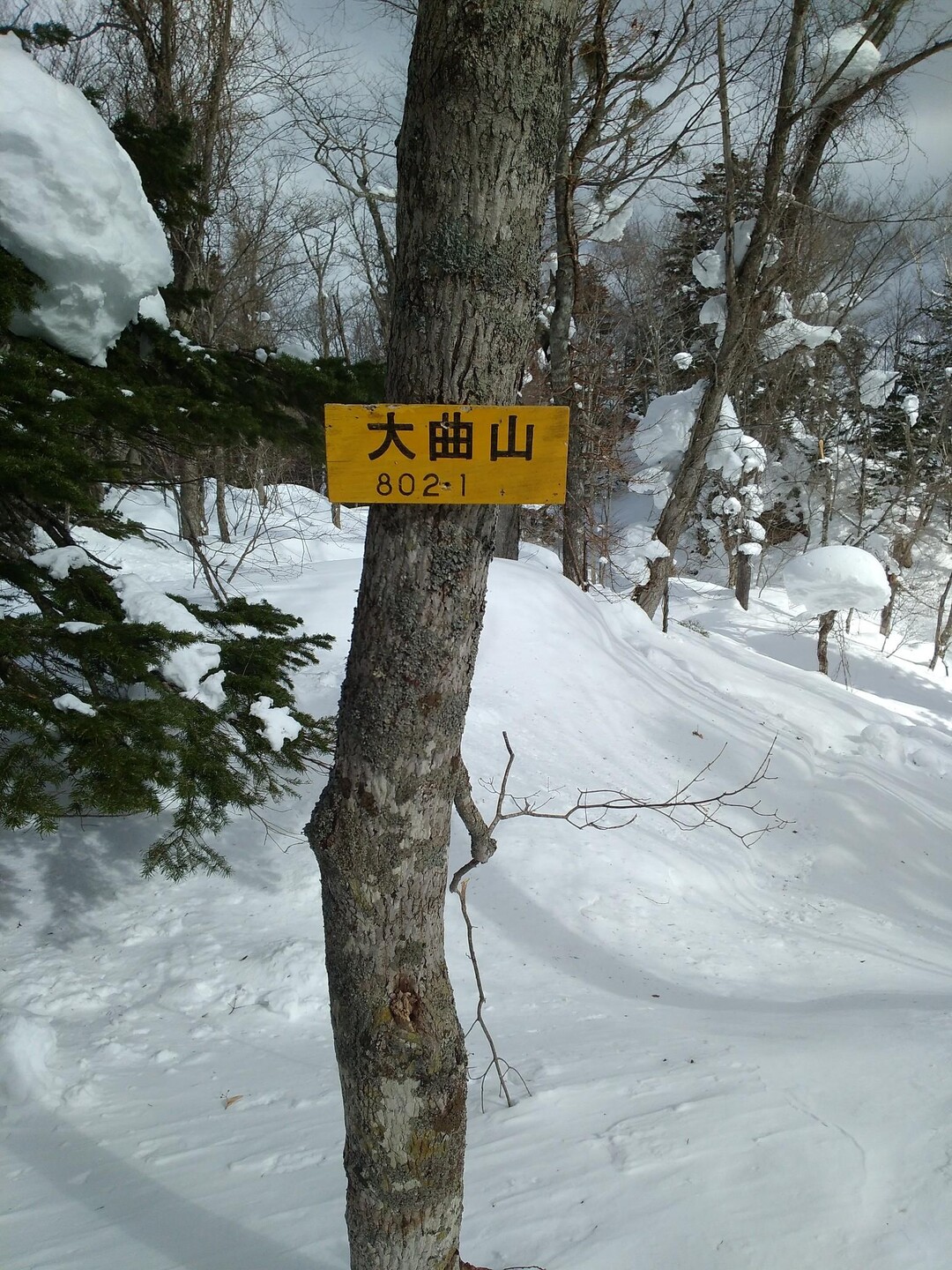 800m峰・大曲山 / トヨさんの札幌岳・空沼岳の活動データ | YAMAP / ヤマップ