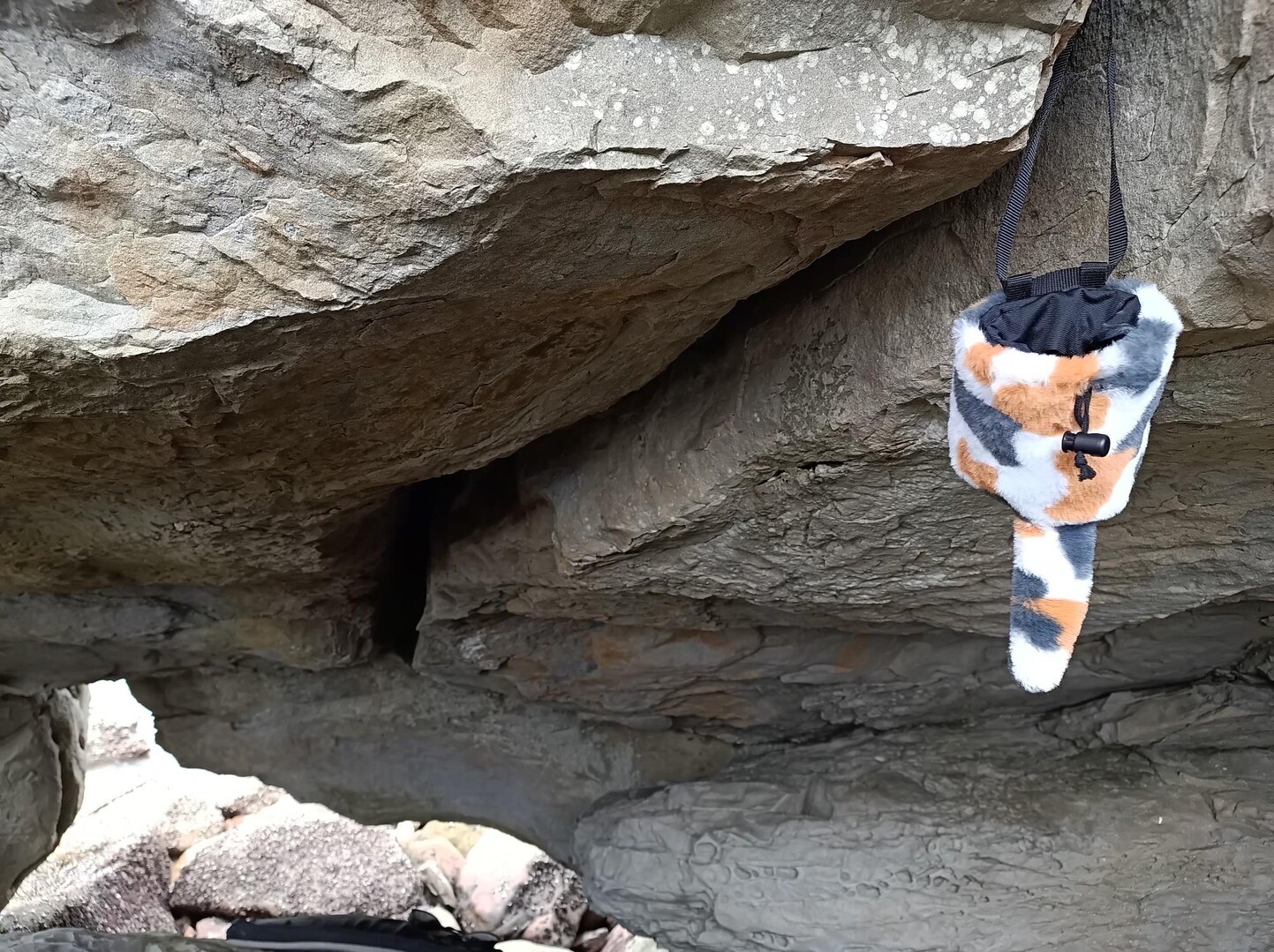 和歌山ルーフクラック クライミング / suzuさんのクライミングの活動データ | YAMAP / ヤマップ