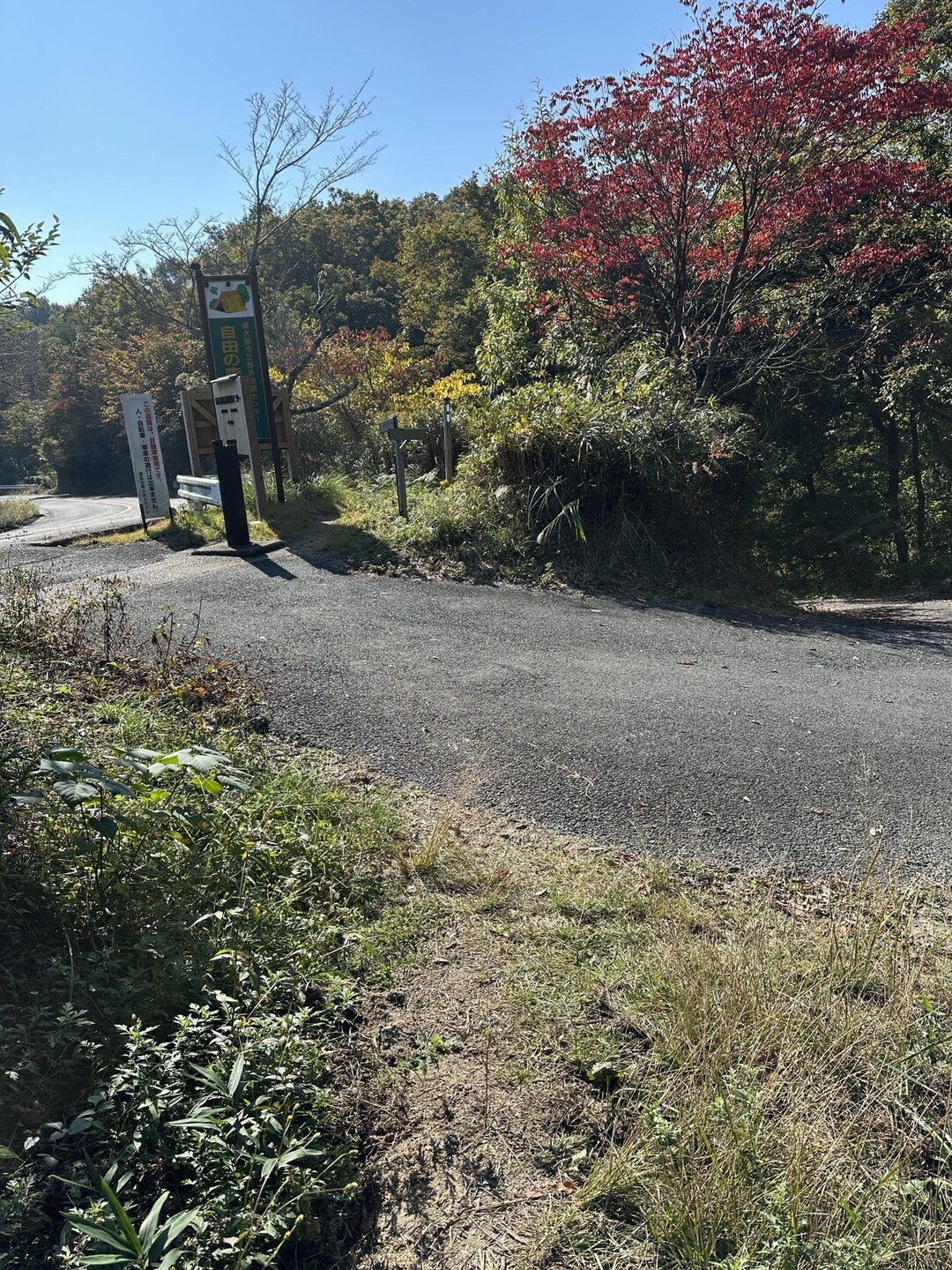 gs-h_satohさんの投稿したフィールドメモ | YAMAP / ヤマップ