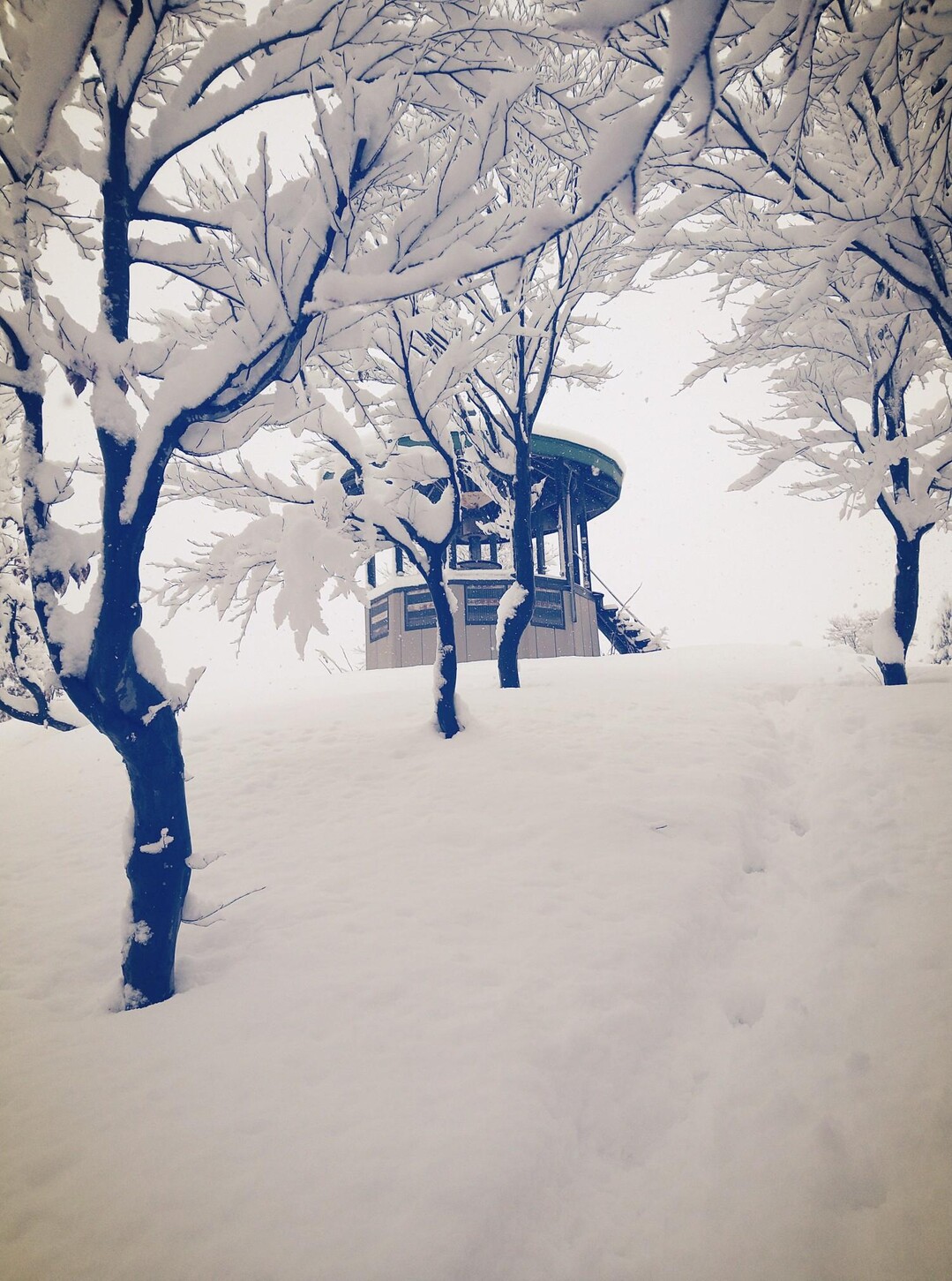 モノクロ⚫⚪な初雪ハッチ⛰ / natu さんの八石山の活動データ | YAMAP / ヤマップ