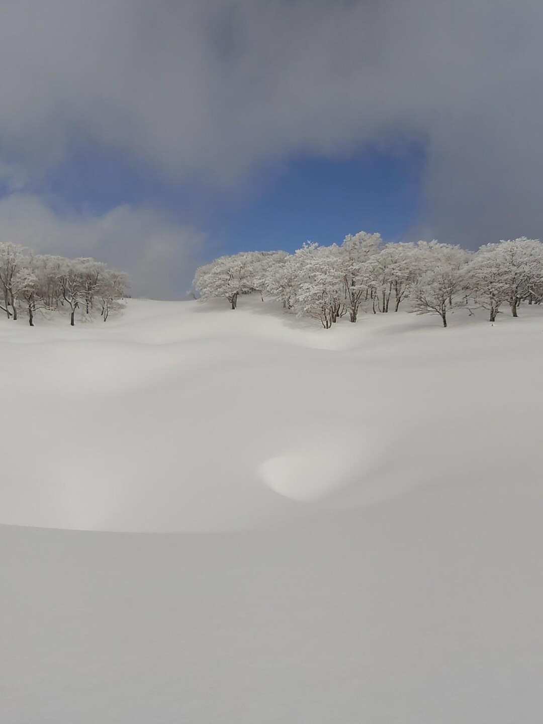 子向井山・御池岳・荷ヶ岳(冷川岳) / maruさんの藤原岳・御池岳の活動データ | YAMAP / ヤマップ