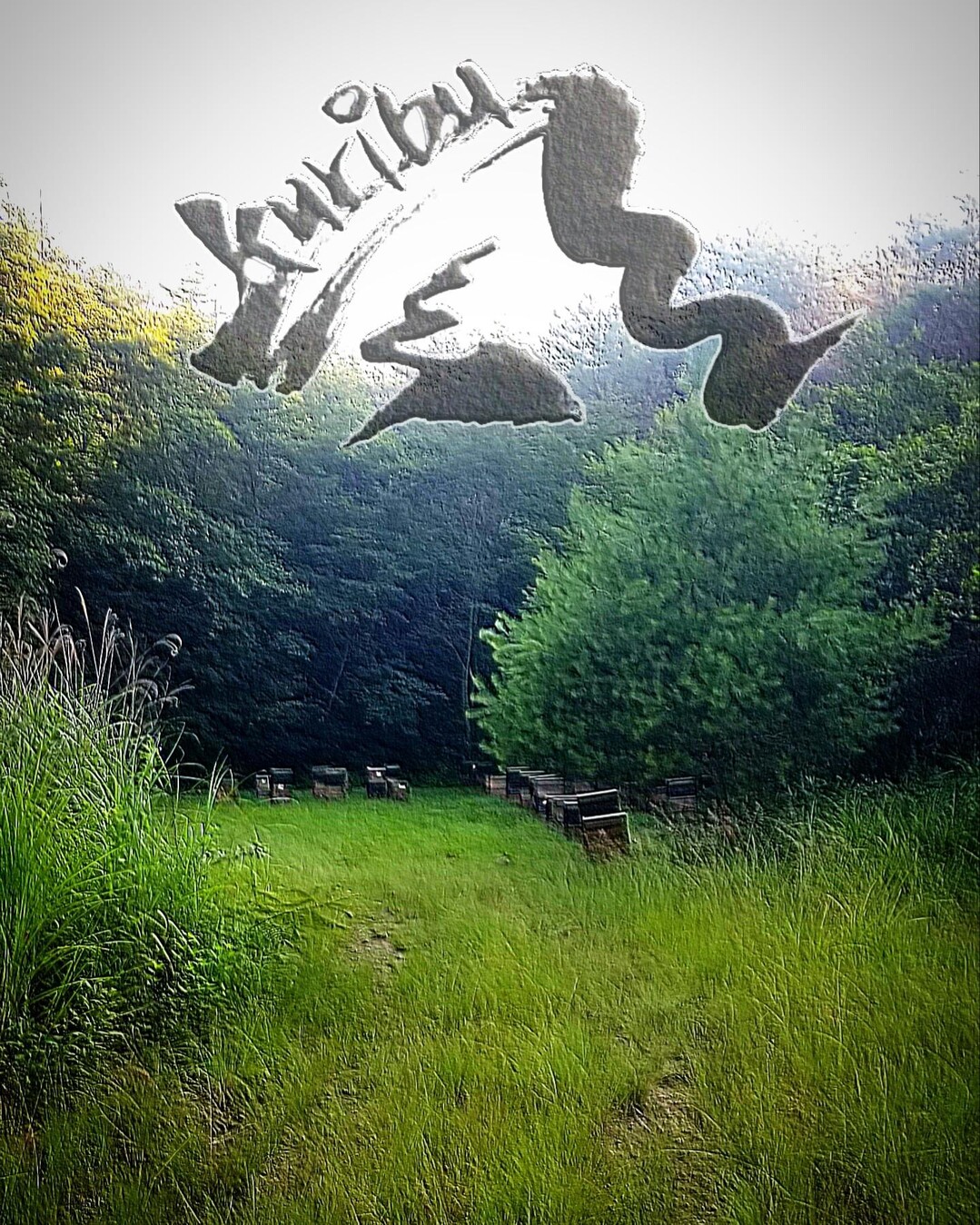 養蜂場( ・ ・)？ / Katsujiさんのモーメント | YAMAP / ヤマップ