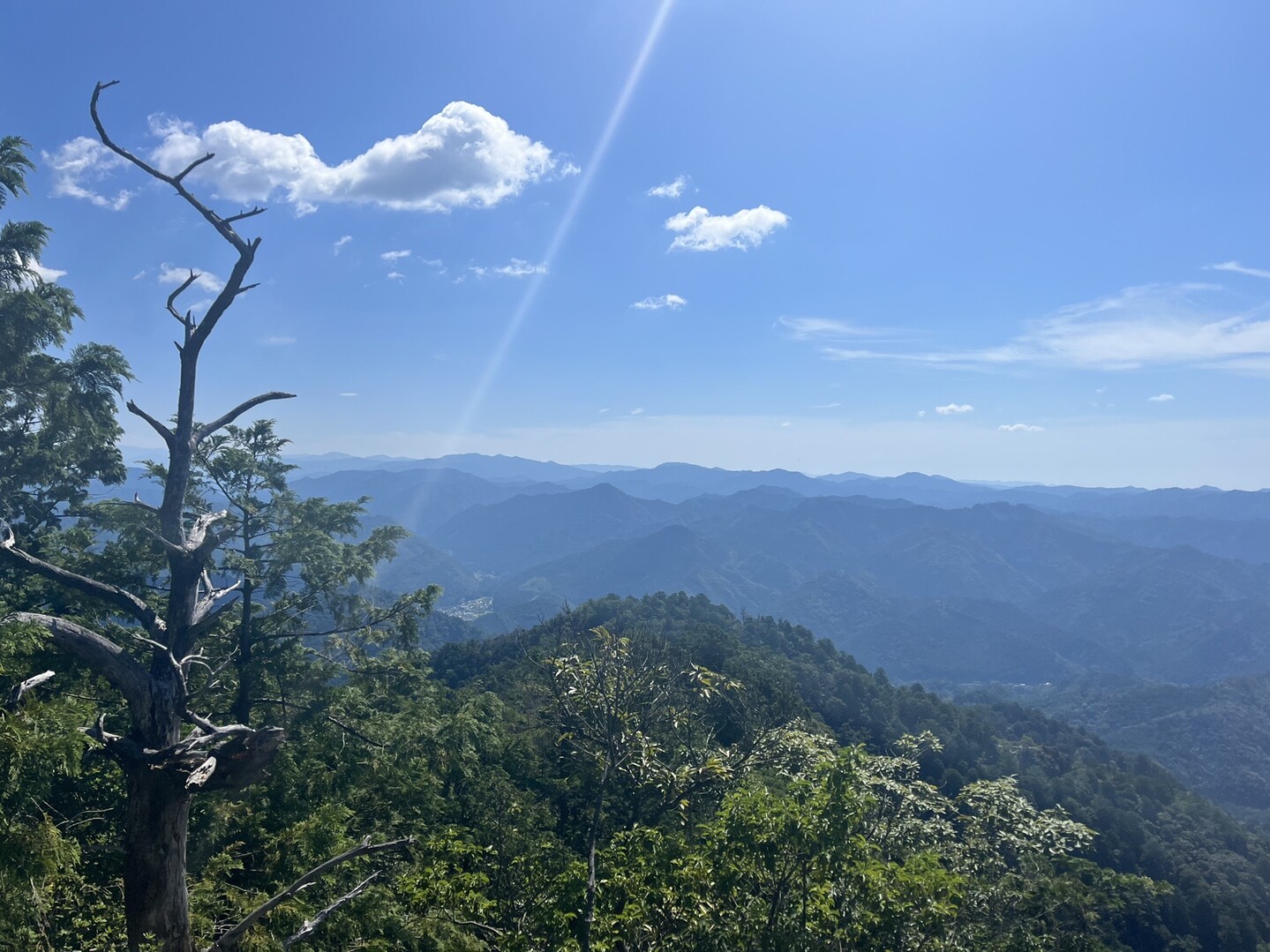 鳳来寺山 / miiさんのウォーキングの活動データ | YAMAP / ヤマップ