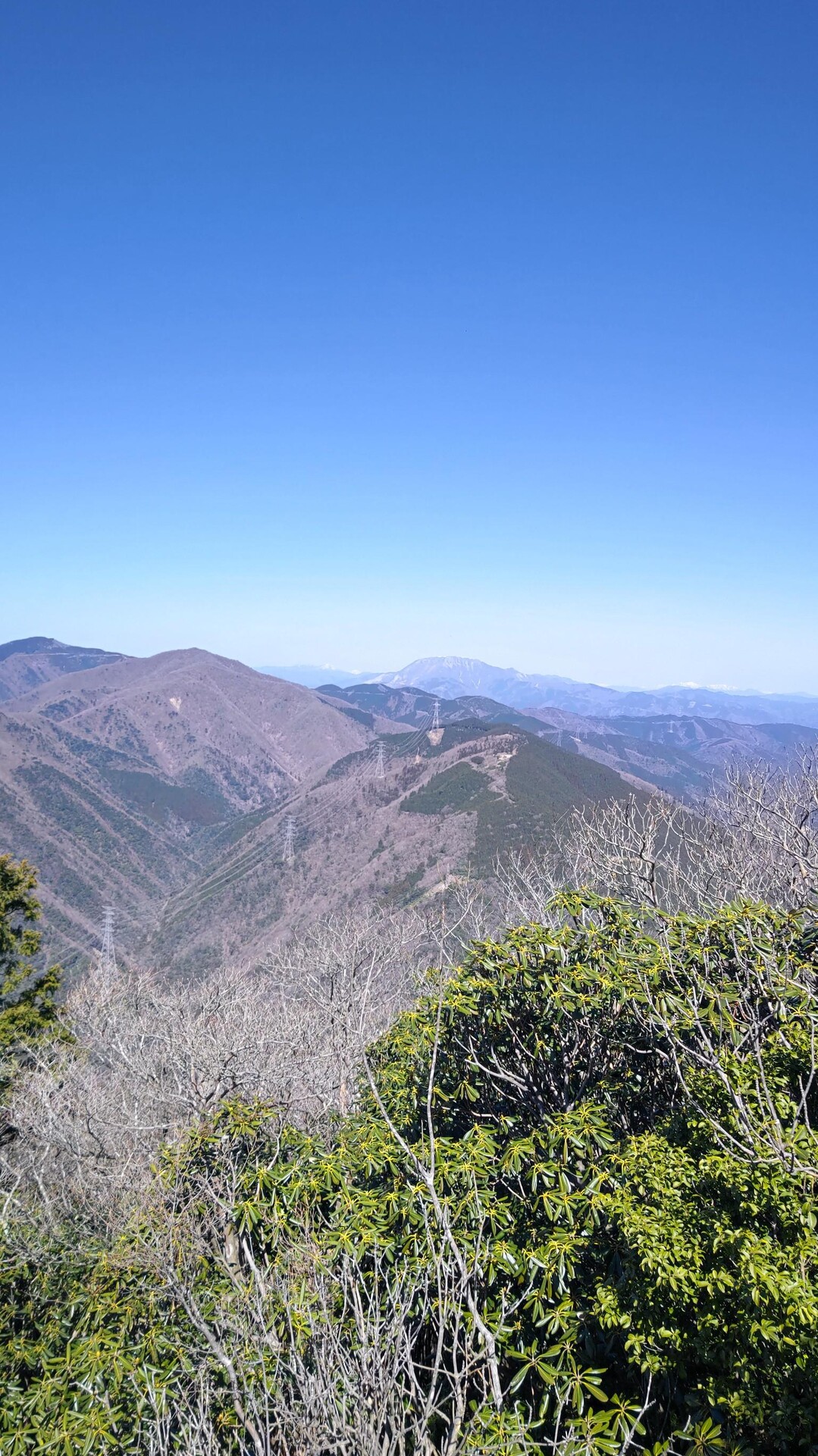 鈴鹿300座 3峰 三国岳反時計回り周回ルート / Maronさんの三国岳・烏帽子岳・ダイラの頭の活動データ | YAMAP / ヤマップ