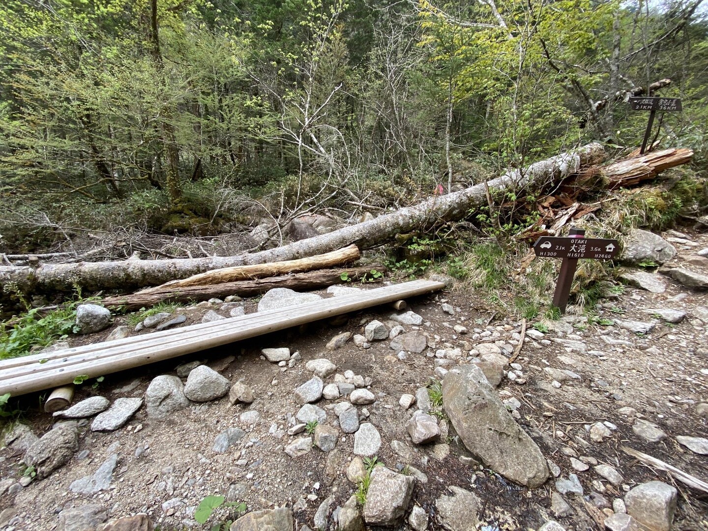 neoさんの投稿したフィールドメモ | YAMAP / ヤマップ