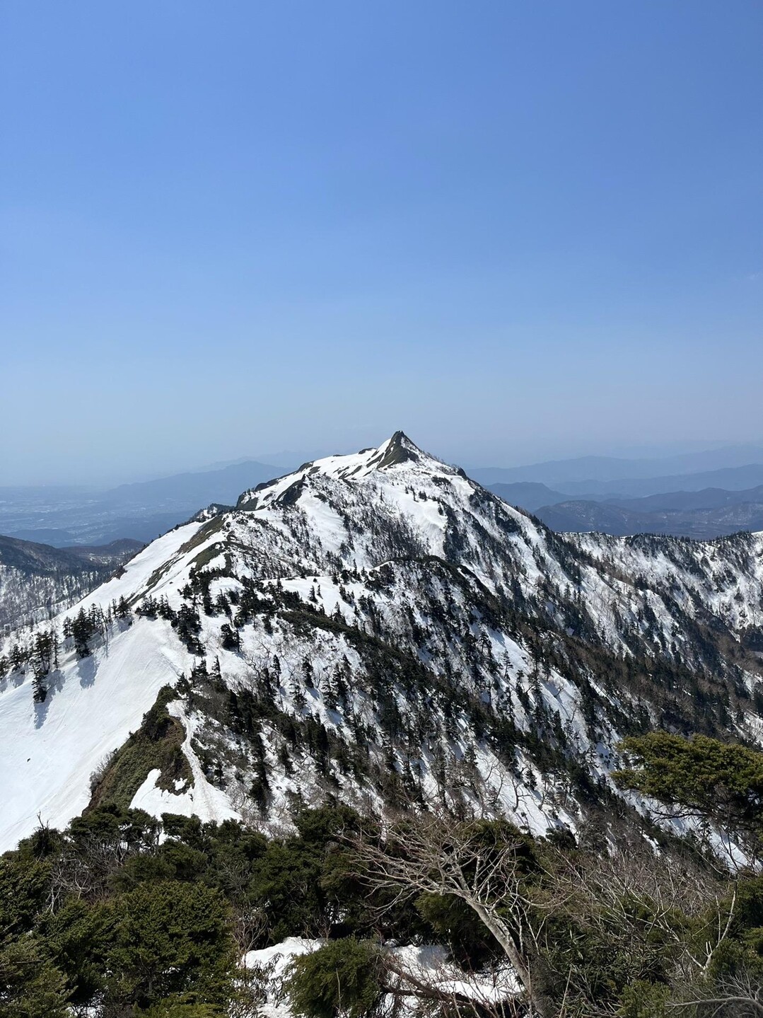 剣ヶ峰山・武尊山 2024-04-13 / すーじー / steepbrew さんの武尊山・鹿俣山・尼ヶ禿山の活動データ | YAMAP / ヤマップ