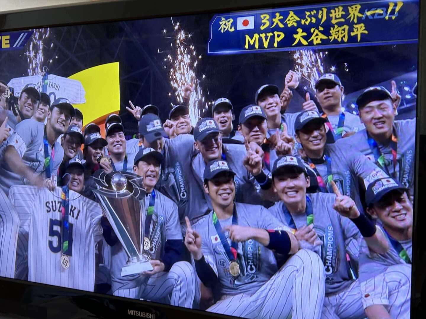 朝WBC⚾️決勝＆PM西山（鮎坂山）ミツマタ🌻-2023-03-22 / forestさんの犬鳴山・西山（鮎坂山）の活動データ | YAMAP / ヤマップ