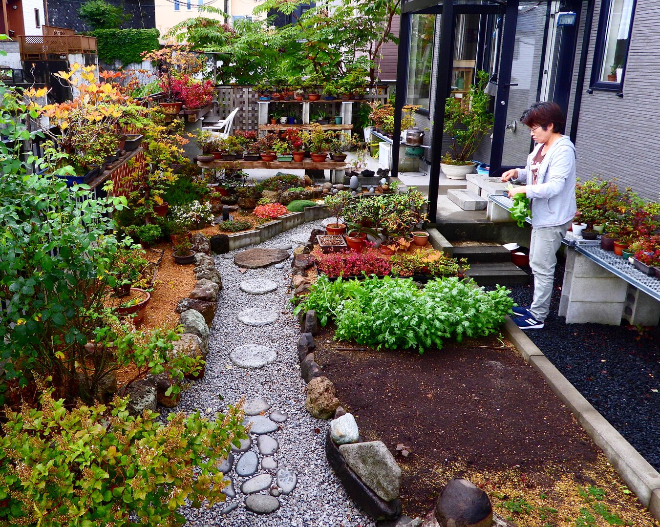 まったりと中ノ沢を歩くの巻♪ / pon(夫) ＆ 連れ(妻)さんの札幌市の活動データ | YAMAP / ヤマップ