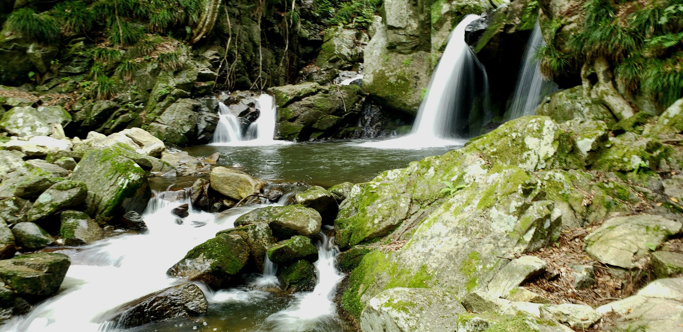 滝川渓谷-2021-06-13 / Shuu-jiさんの滝川渓谷の活動データ | YAMAP / ヤマップ