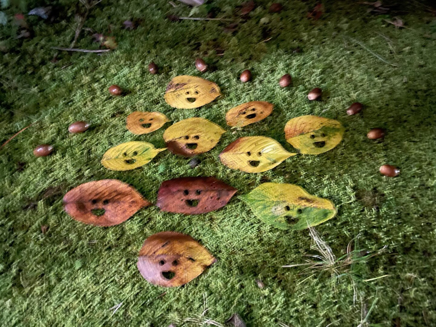 弥彦山🍁🎃 / megさんの弥彦山・多宝山・雨乞山の活動データ | YAMAP / ヤマップ