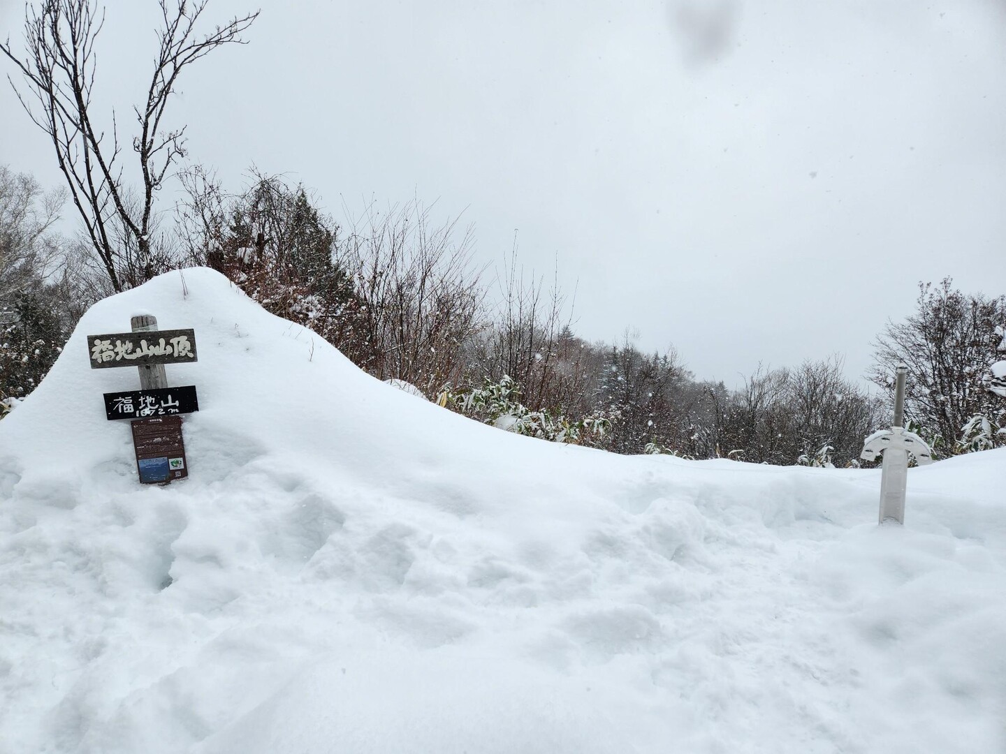 福地山 / Shihoさんの福地山の活動データ | YAMAP / ヤマップ