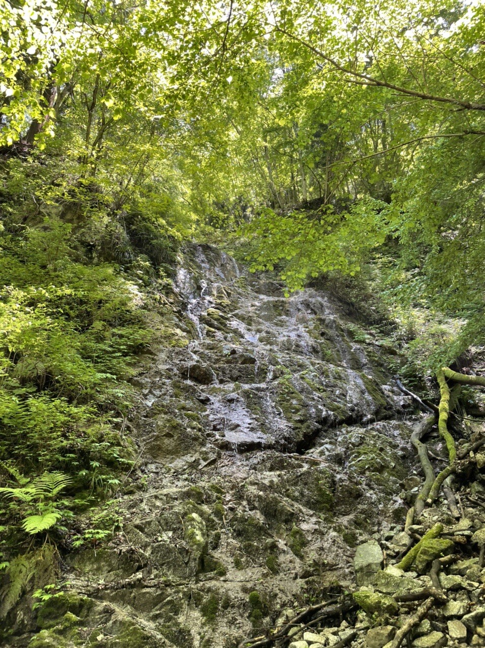 Merryさんの投稿したフィールドメモ | YAMAP / ヤマップ