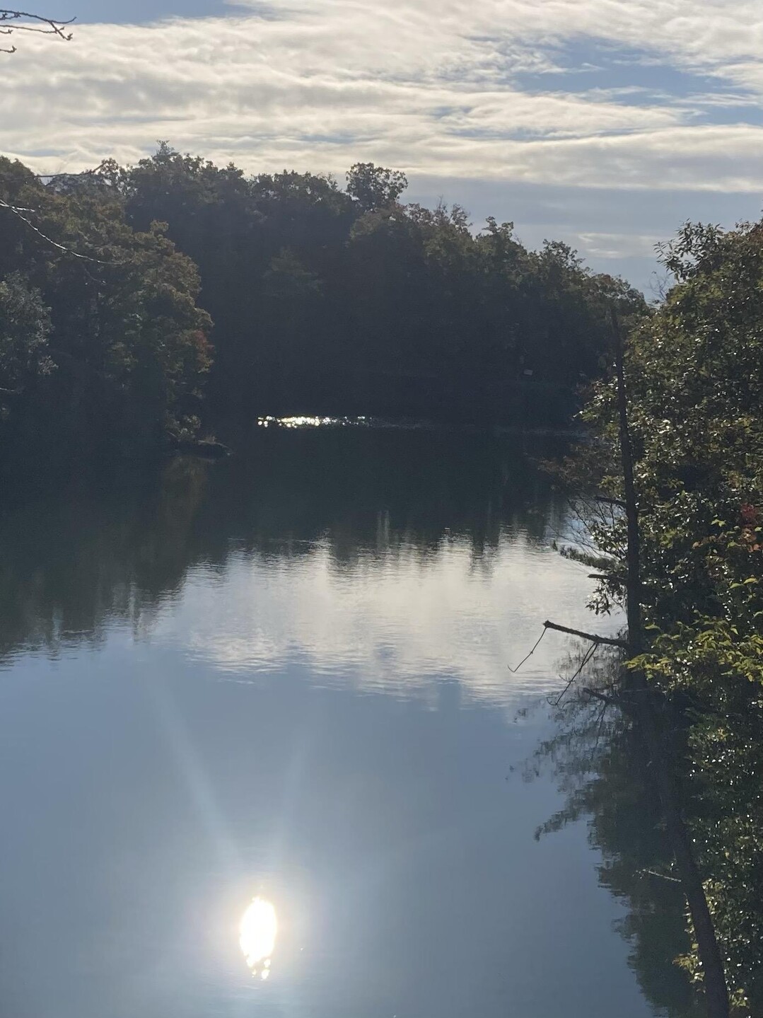 甲山-2024-11-24 / TAKAKOさんのウォーキングの活動データ | YAMAP / ヤマップ