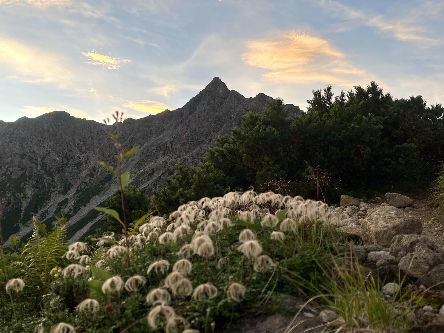 北アルプス縦走2泊3日(室堂から上高地) / fumさんの立山・雄山・浄土山の活動データ | YAMAP / ヤマップ