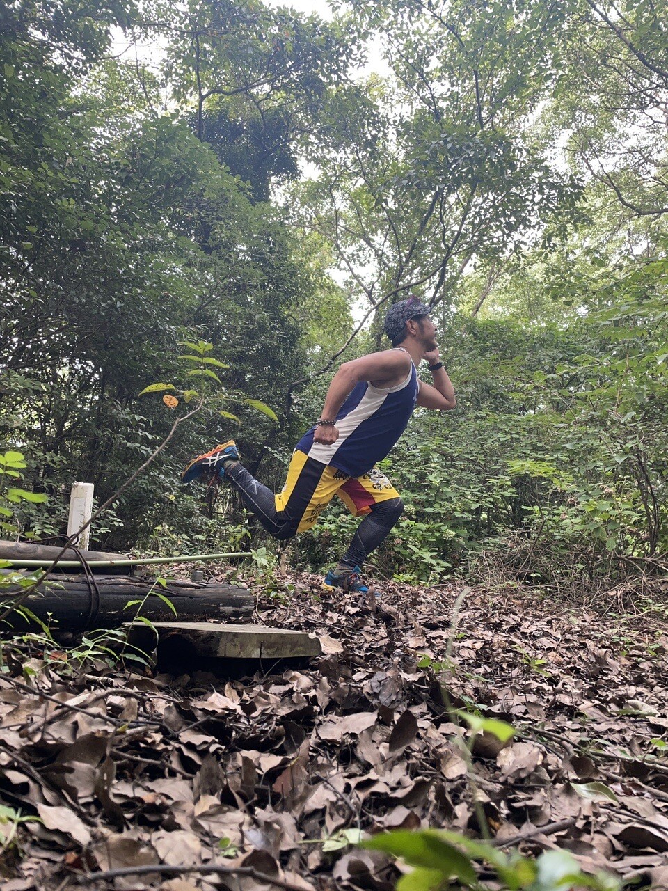 後山-2021-09-05 / syupyさんの彦山・臼木山の活動データ | YAMAP / ヤマップ