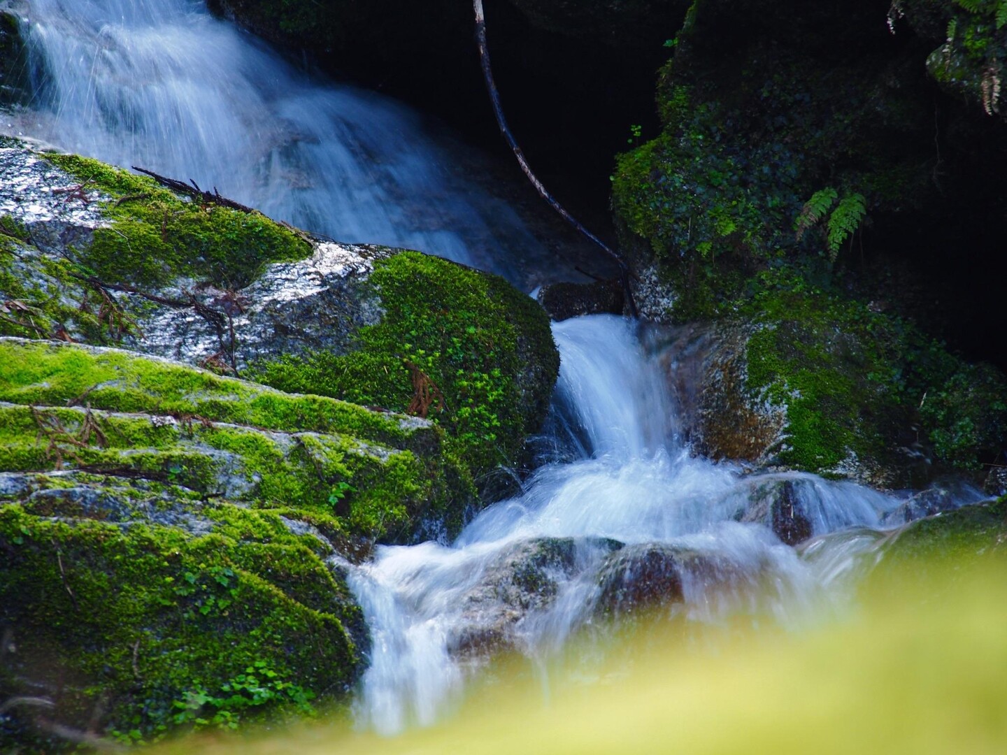 小貝月山・貝月山 / shouichiさんの貝月山の活動データ | YAMAP / ヤマップ