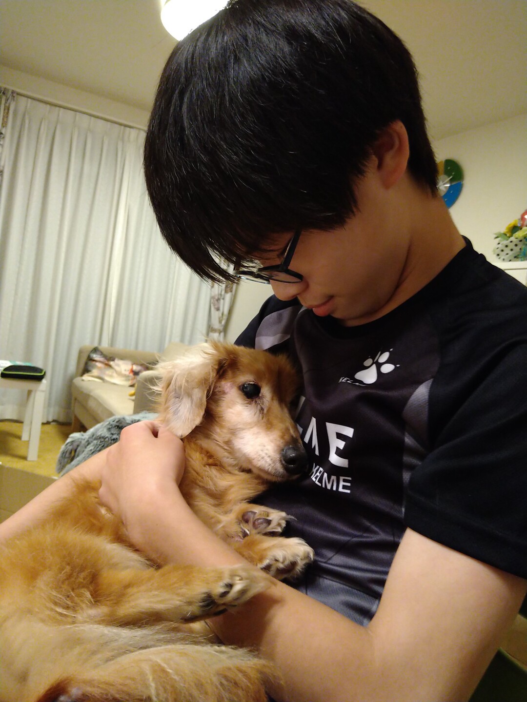 長年一緒に暮らしてきた我が家の愛犬「チョ... / RYUICHIさんのモーメント | YAMAP / ヤマップ