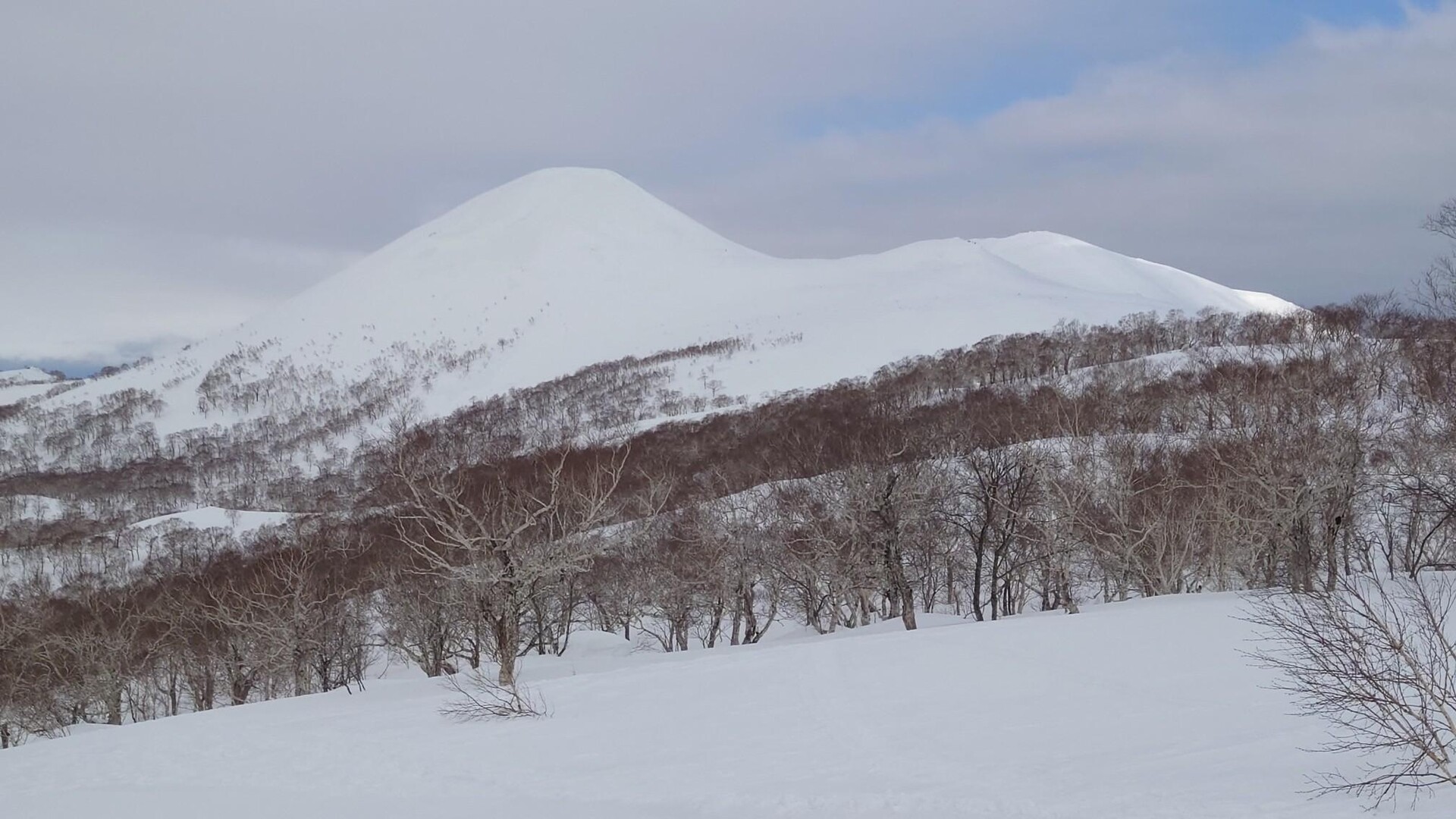 832m峰 / ゆうじさんのニセコアンヌプリ・イワオヌプリ・チセヌプリの活動日記 | YAMAP / ヤマップ