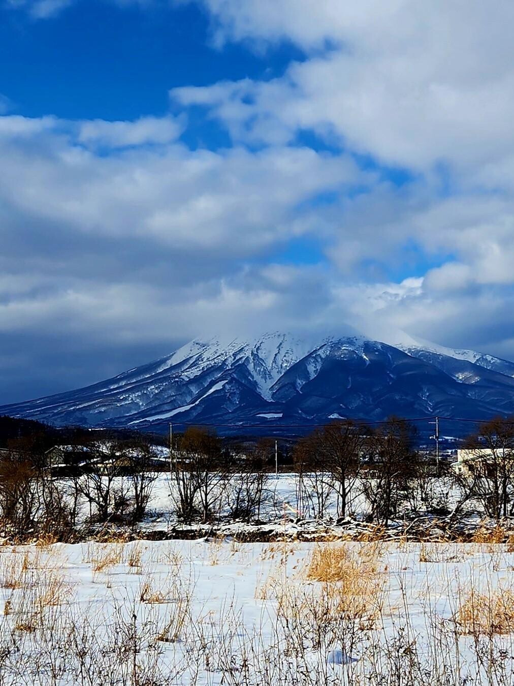 大晦日、弘前散策からのモダンカフェでティ... / 気紛れDAKARAさんのモーメント | YAMAP / ヤマップ
