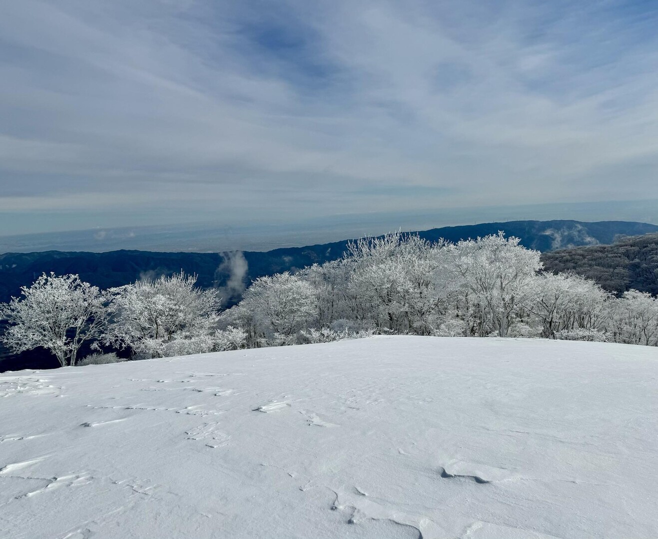 藤原岳 大和田尾根～周回 / Bobさんの藤原岳・御池岳の活動データ | YAMAP / ヤマップ