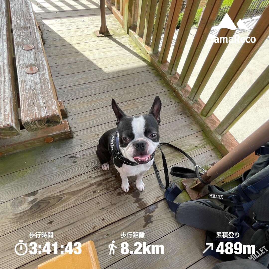 10月8日 愛知県 宮路山 晴れ☀️... / ISOさんのモーメント | YAMAP / ヤマップ