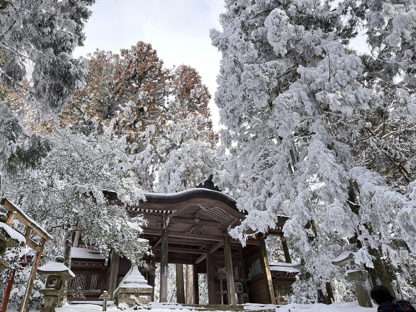 リハビリ愛宕山 / mh_trskさんの愛宕山・三頭山・朝日峯の活動データ | YAMAP / ヤマップ