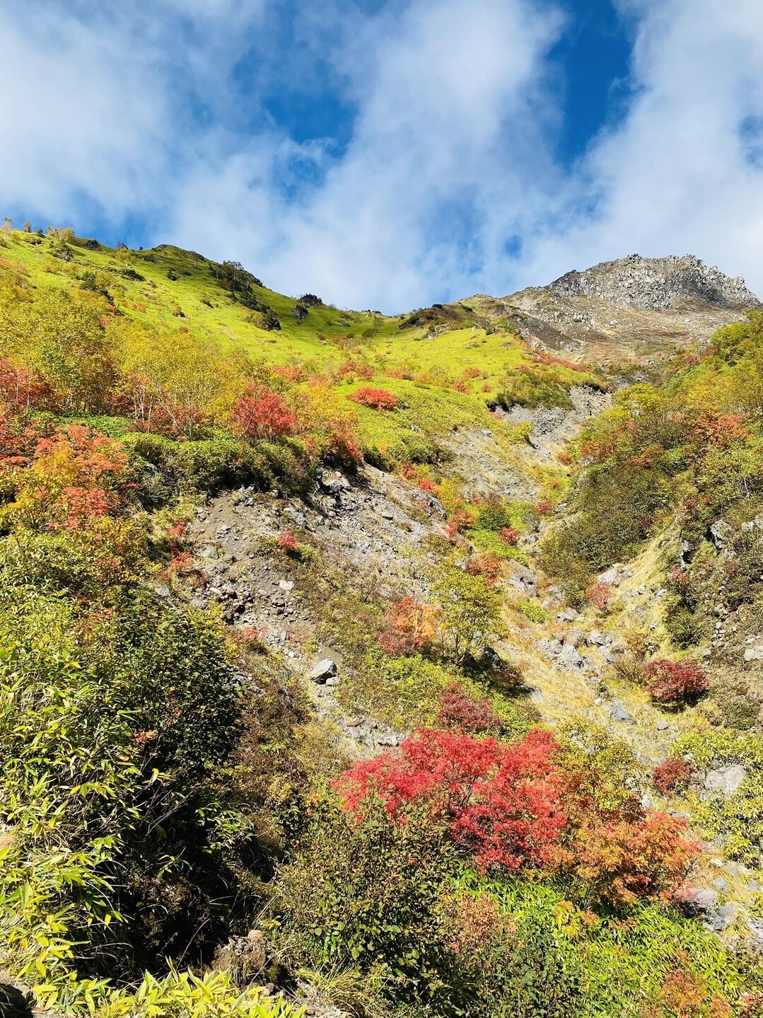 紅葉の焼岳（北峰） / とし0906さんの乗鞍岳の活動データ | YAMAP / ヤマップ