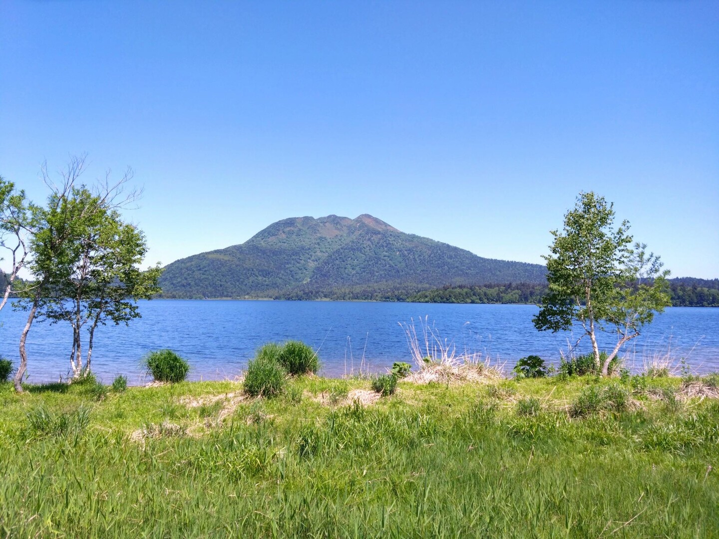 尾瀬沼周回-2023-07-02 / TWOさんの尾瀬・燧ヶ岳の活動データ | YAMAP / ヤマップ