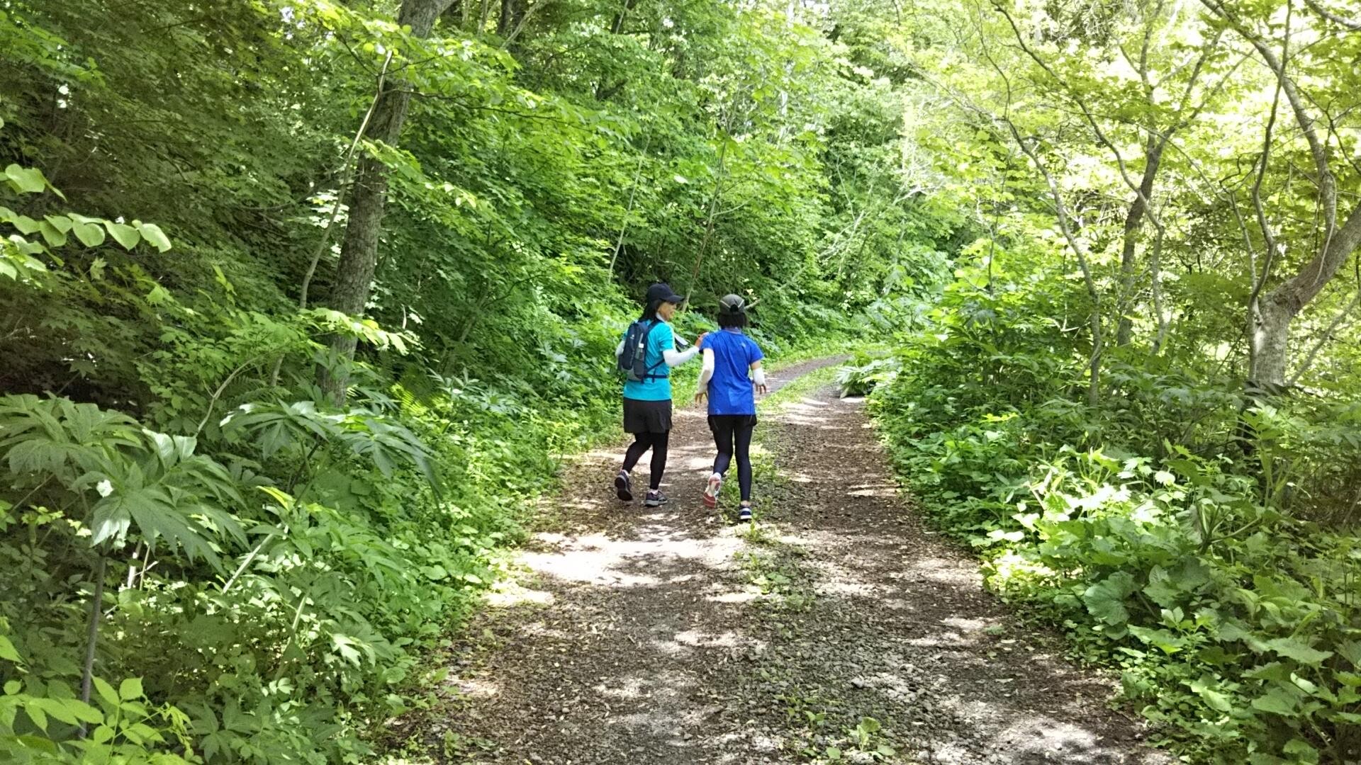 函館山ヨレRUN🏃2 / keiさんの函館山の活動データ | YAMAP / ヤマップ