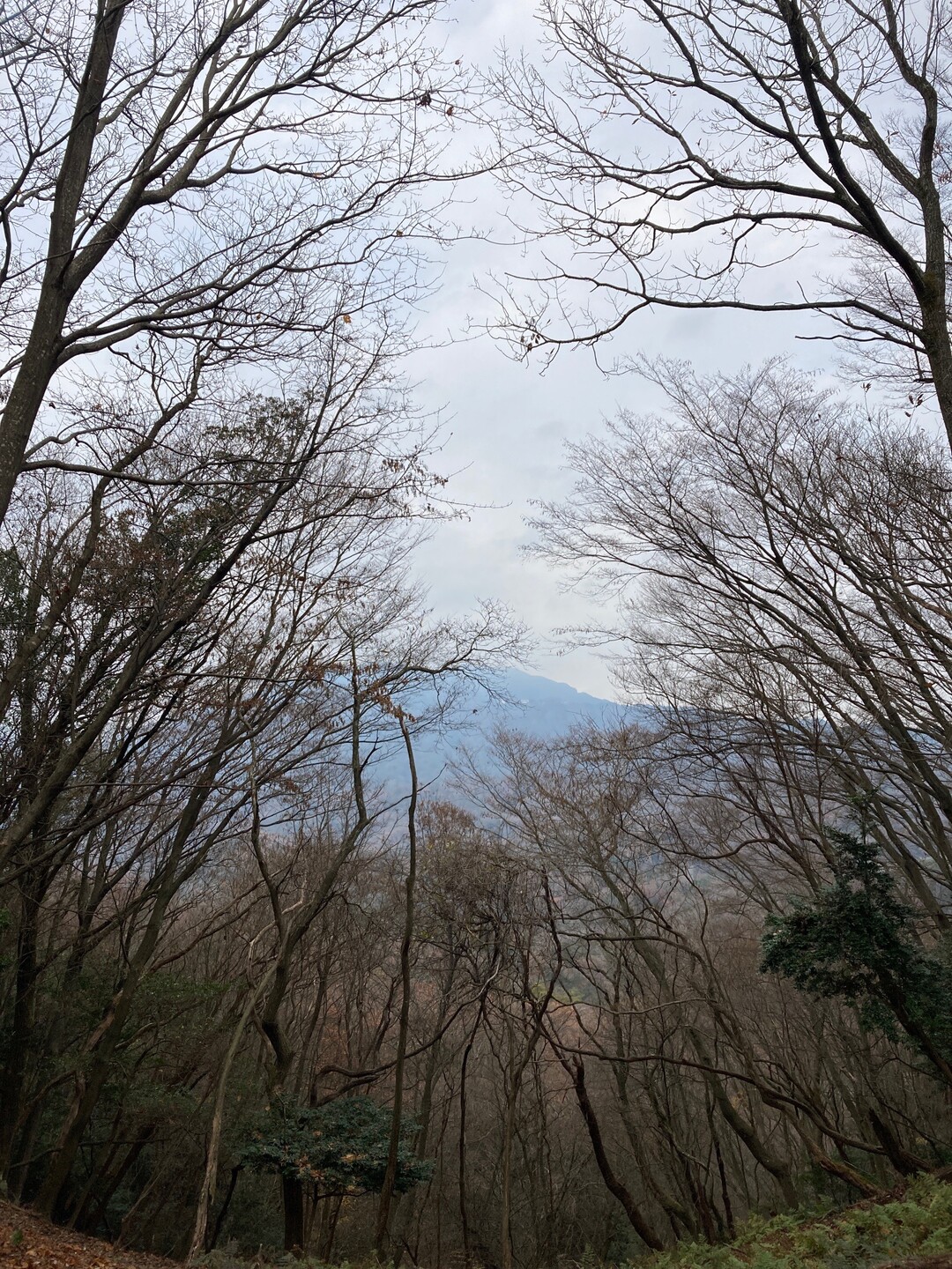 K.KAIさんの投稿したフィールドメモ | YAMAP / ヤマップ