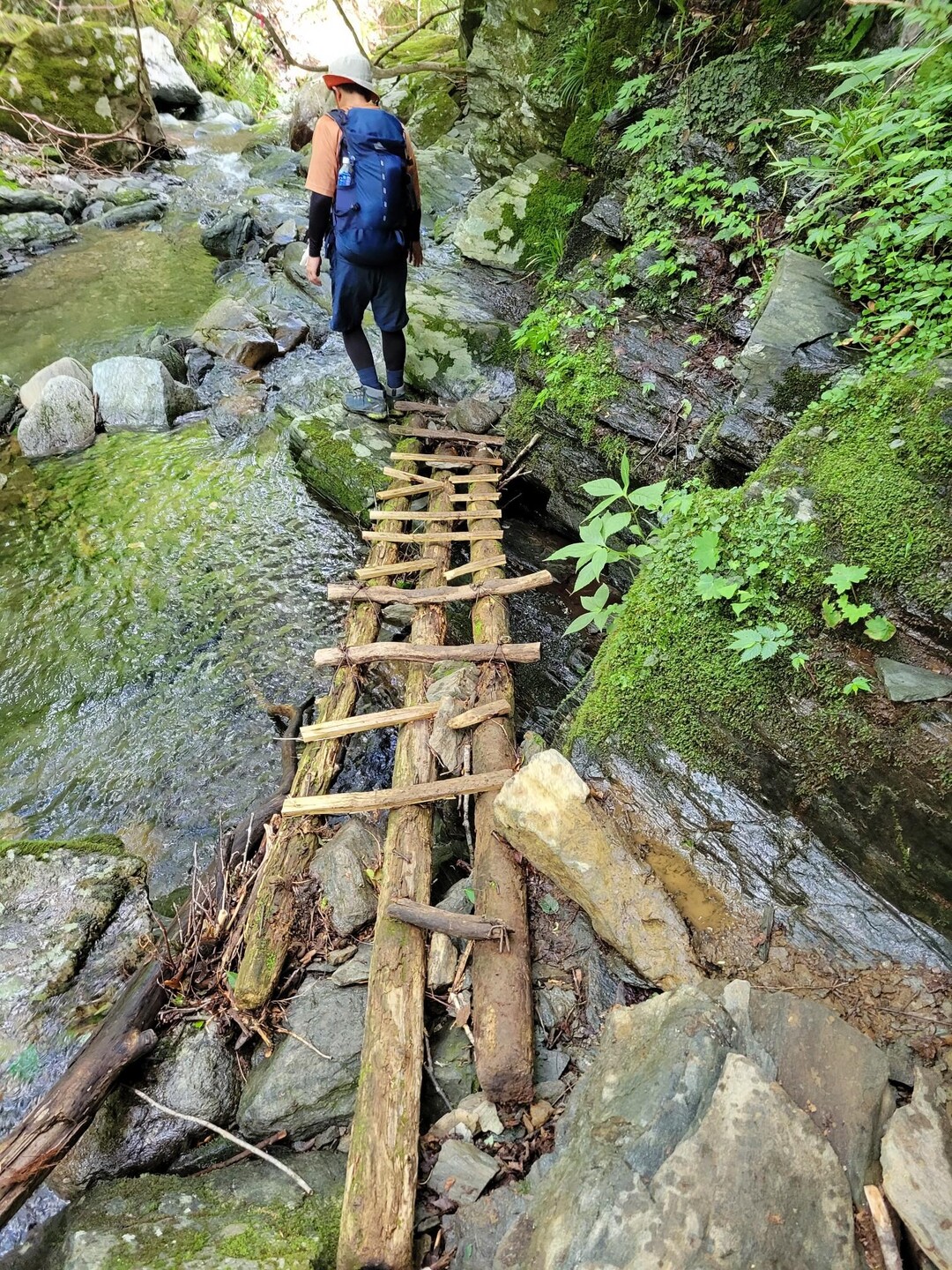 ももぷちさんの投稿したフィールドメモ | YAMAP / ヤマップ