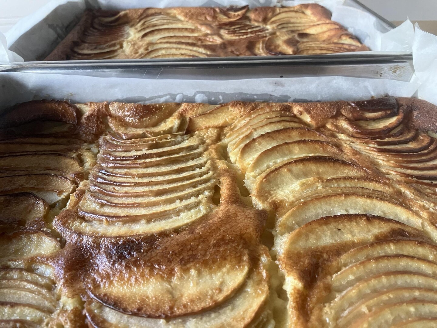 山に行きたいという気持ちを押し殺して、1... / Naluさんのモーメント | YAMAP / ヤマップ