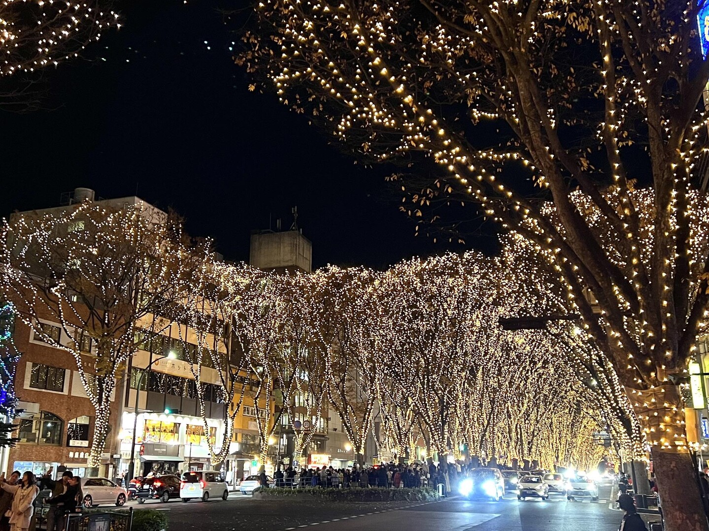 今年も始まりました、仙台の冬の名物イベン... / Muraさんのモーメント | YAMAP / ヤマップ