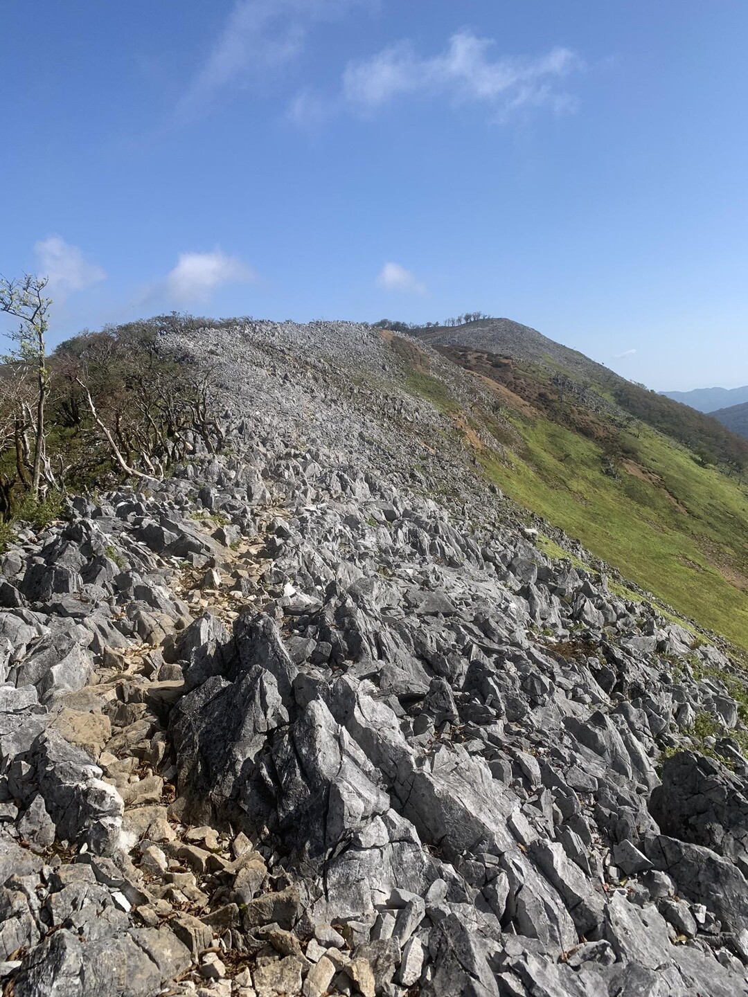 初めての霊仙山 / Marco pagot さんの霊仙山の活動データ | YAMAP / ヤマップ