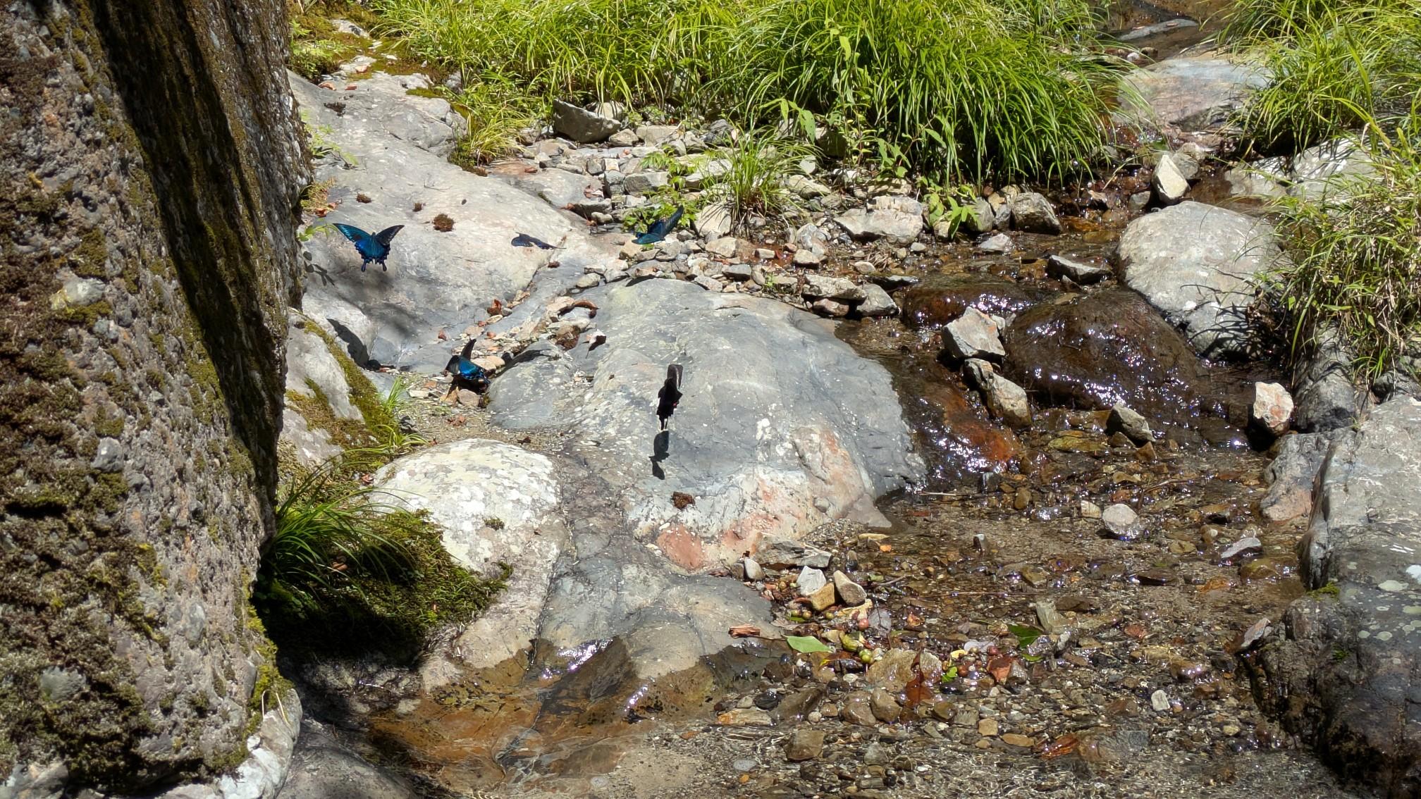 今日は桶側の滝に行ってきたのだ！ ht... / Agさんのモーメント | YAMAP / ヤマップ