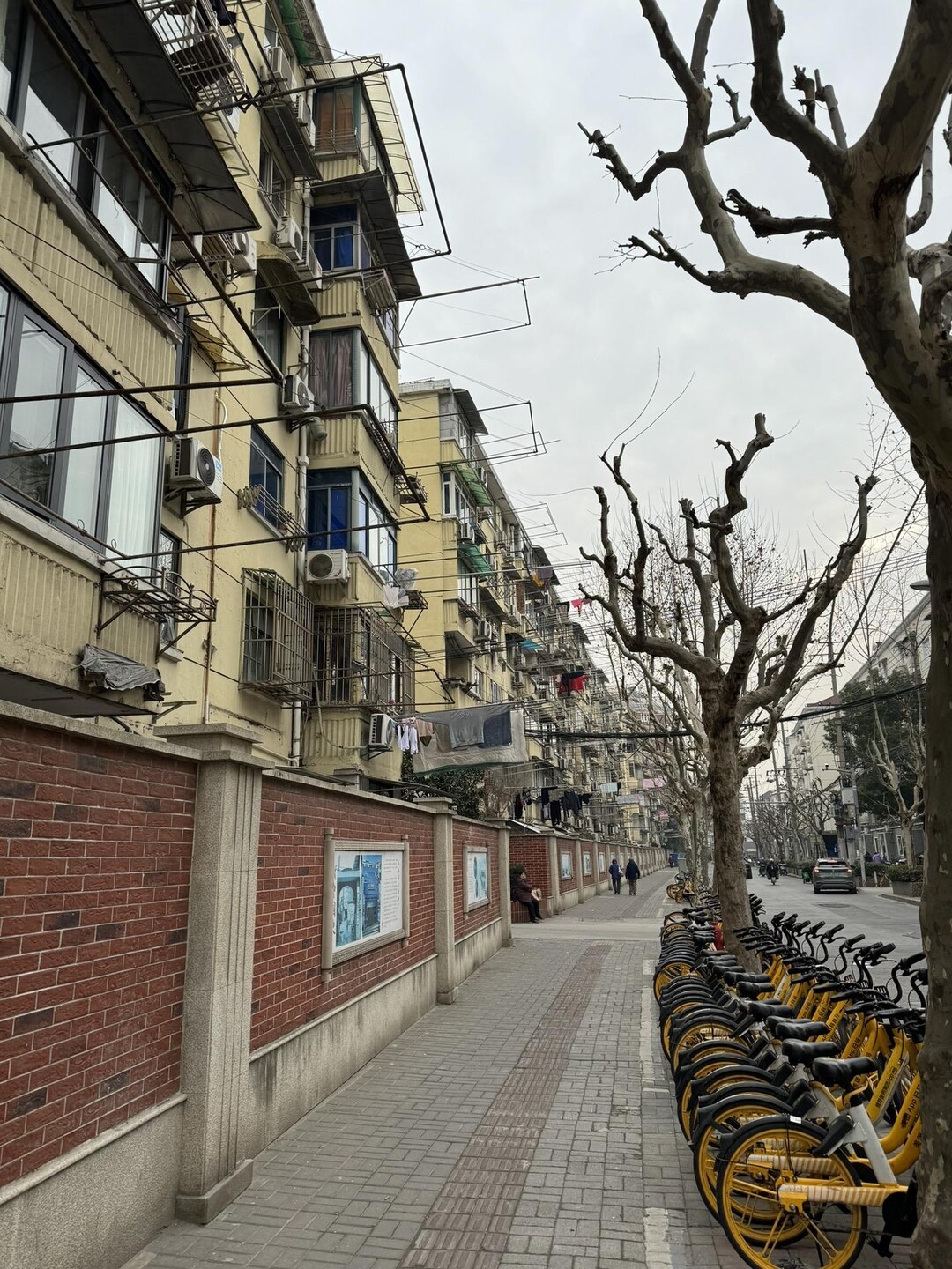 上海さんぽ 长风公园 / ta614さんのウォーキングの活動データ | YAMAP / ヤマップ