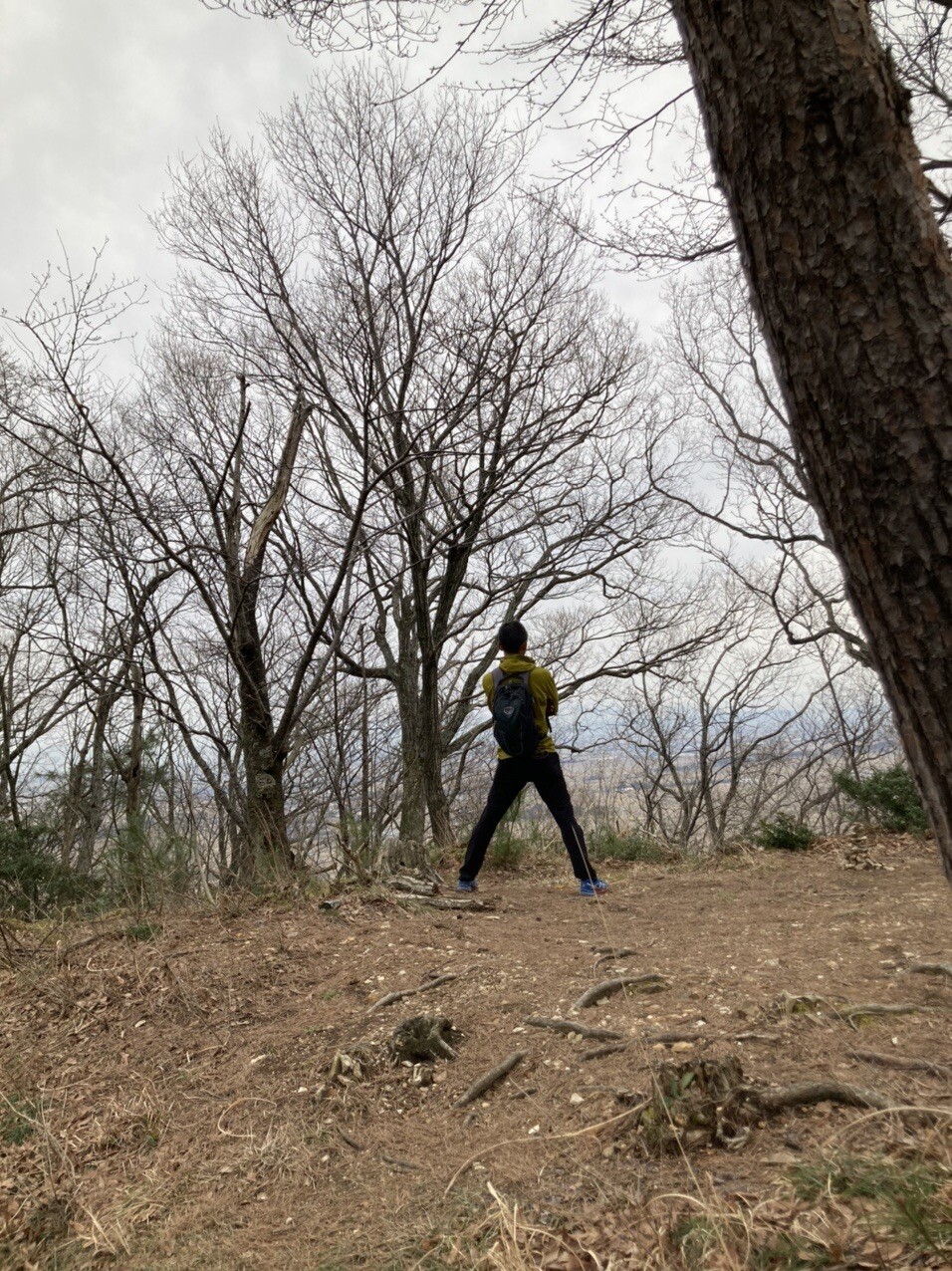 お花の捜索天神山・松ヶ岳⛰ / katsu.fdさんの弥彦山・多宝山・雨乞山の活動日記 | YAMAP / ヤマップ