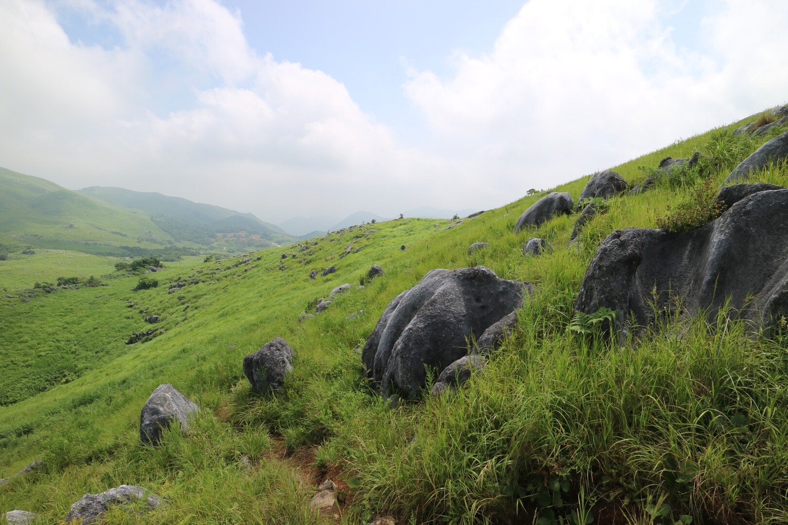 幸せすぎた平尾台。(大平山・四方台・周防台) / koya-koyaさんの平尾台・貫山・水晶山の活動データ | YAMAP / ヤマップ