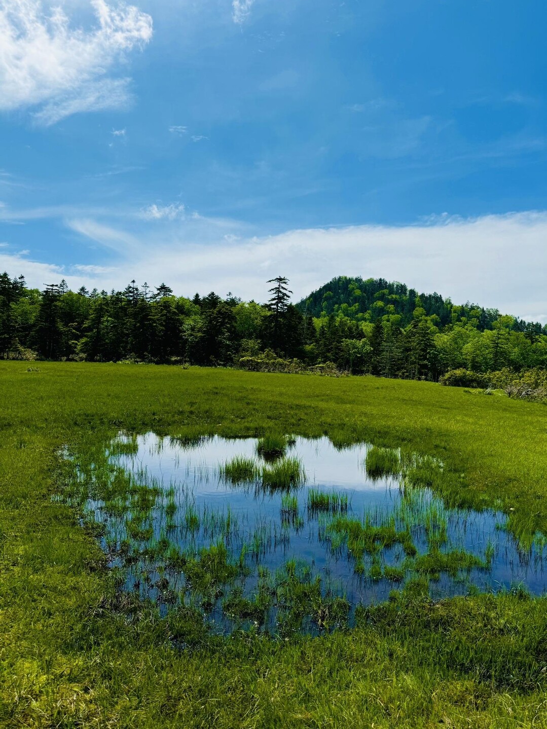 黒岩山・鬼怒沼山 / yu-yakeさんの鬼怒沼山・物見山・黒岩山の活動日記 | YAMAP / ヤマップ
