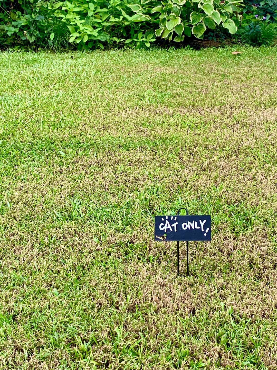 先日、生成AIで書かれたようなメッセージ... / からびなさんのモーメント | YAMAP / ヤマップ